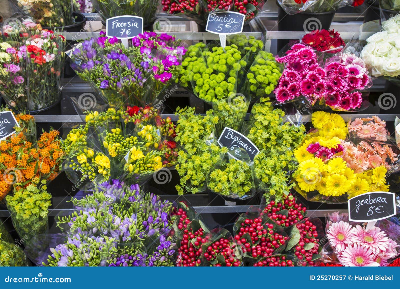 Selection of Flowers on Display Stock Image - Image of bouquet, bunch ...