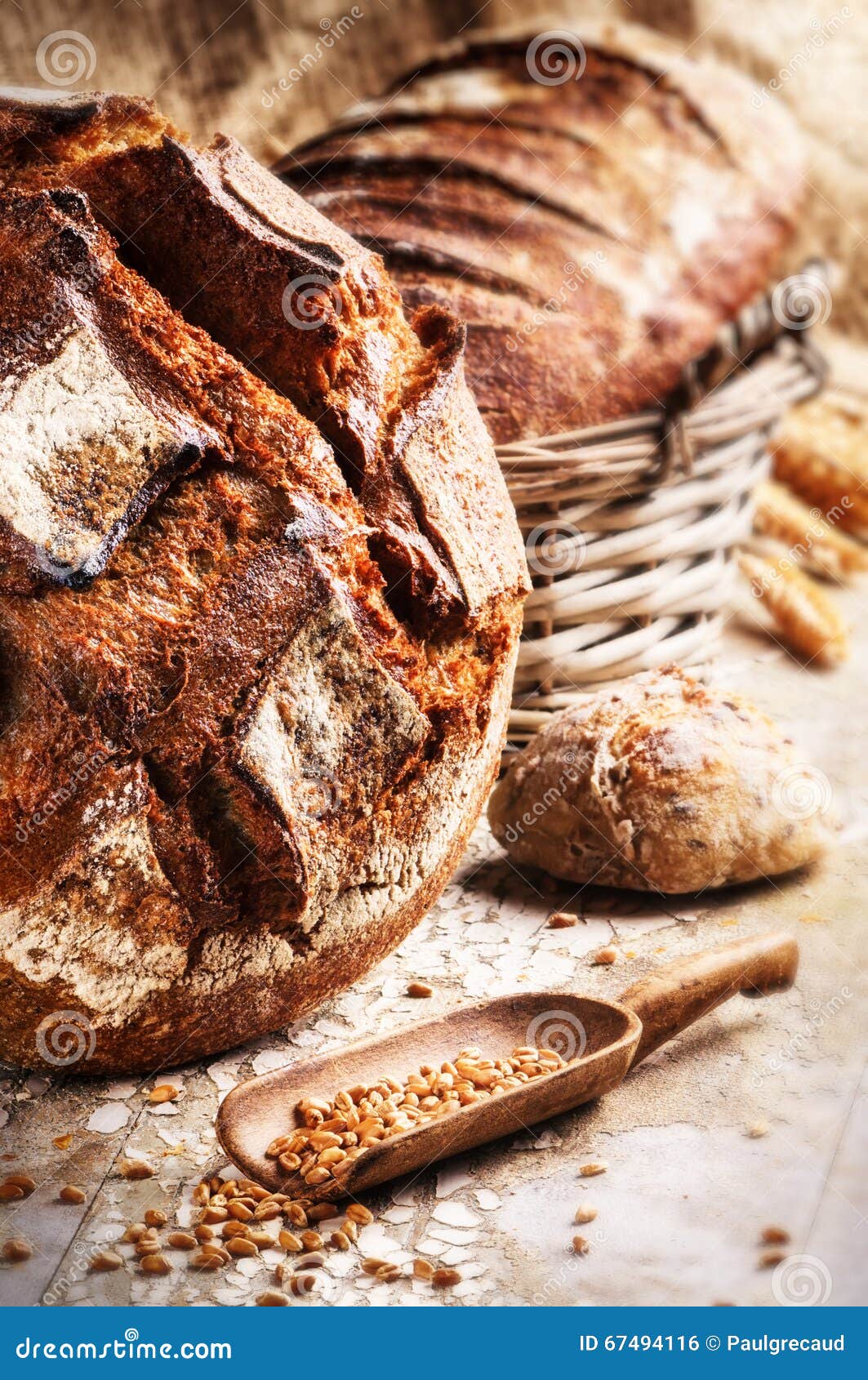 Selection of Freshly Baked Bread Stock Photo - Image of loaf, homemade ...