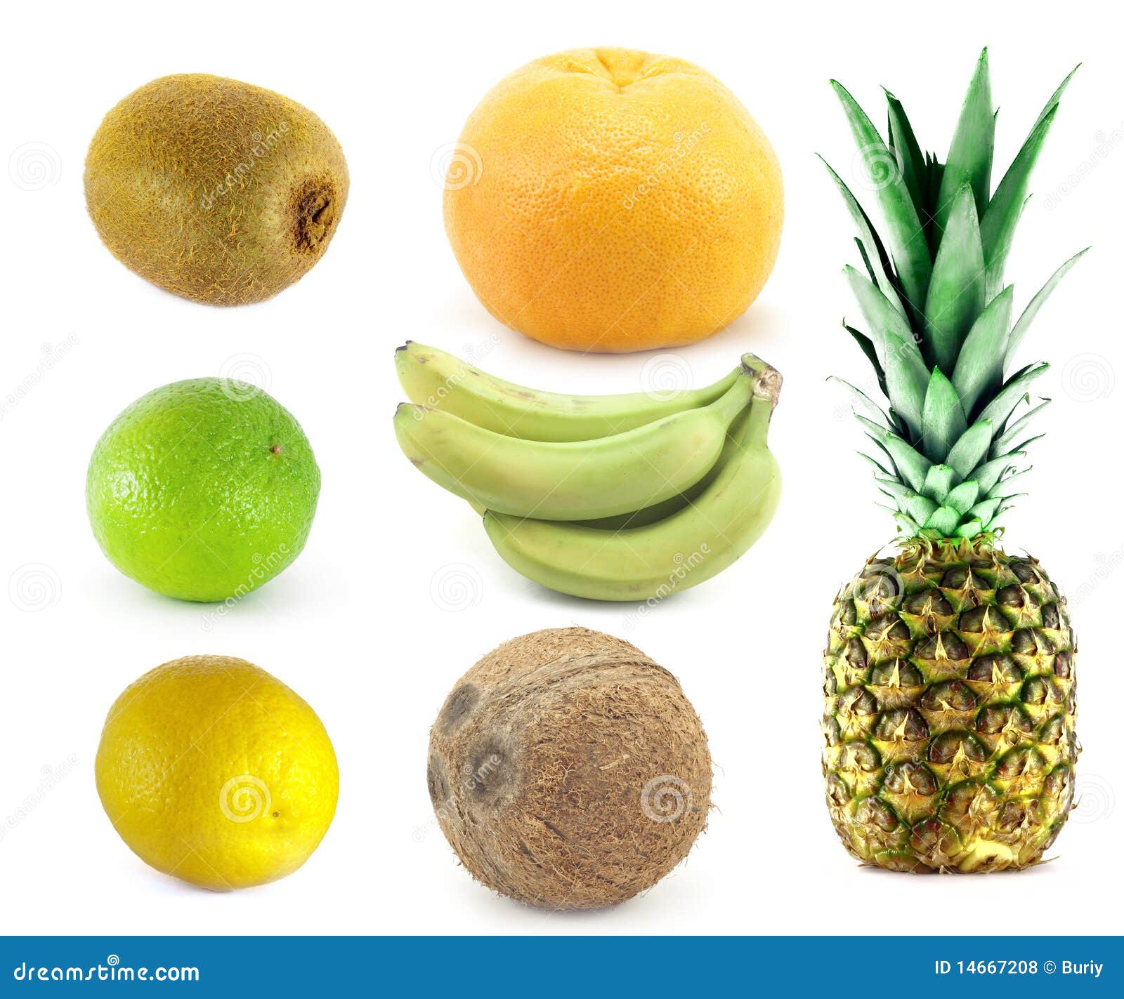 Selection of fruits stock photo. Image of coconut, bright - 14667208