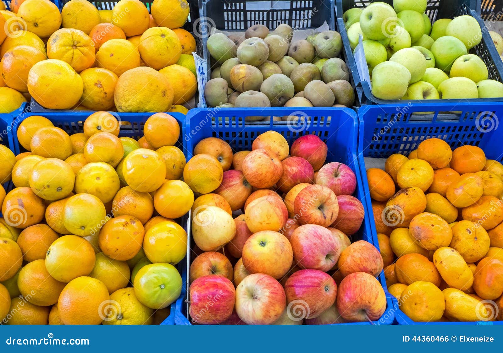 Selection of fruits stock photo. Image of organic, harvest - 44360466