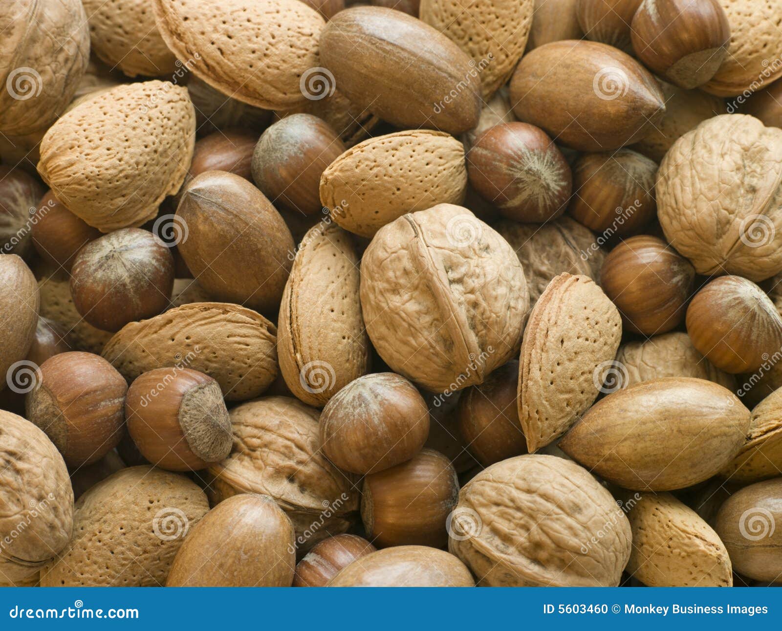 Selection of Mixed Nuts in Shell Stock Photo - Image of cookery, foods ...