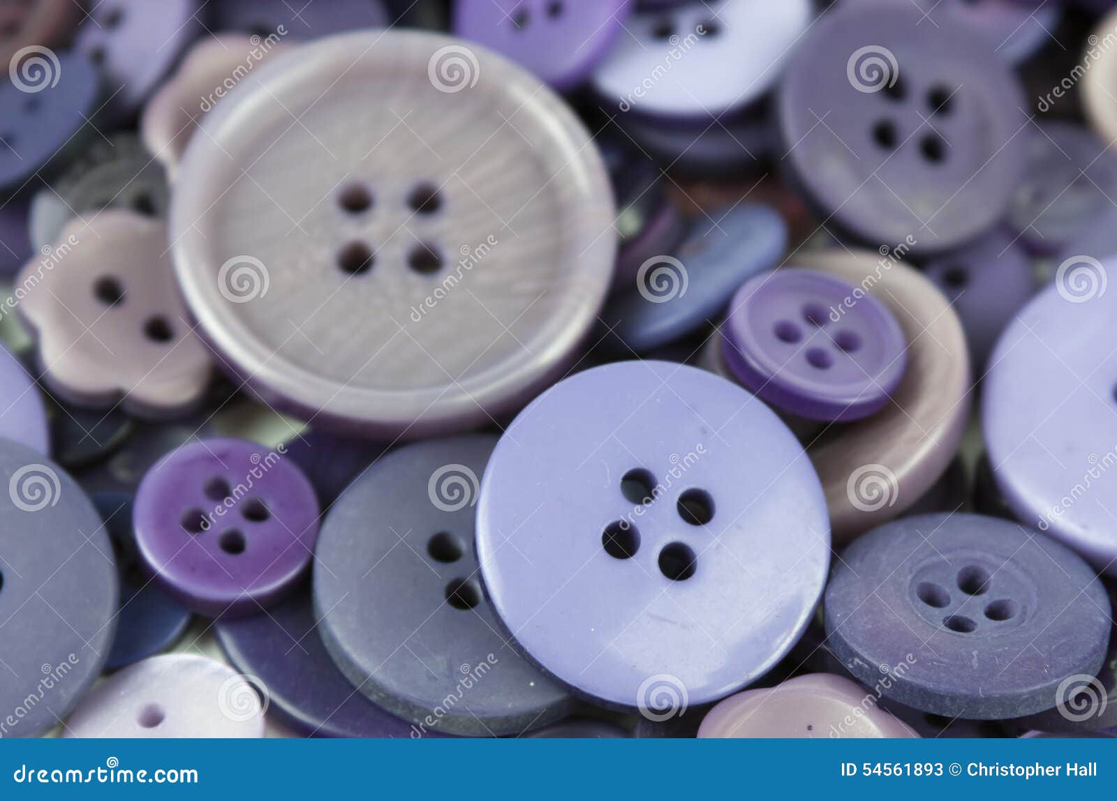 Selection Selection of Various Purple Buttons Stock Image - Image of ...