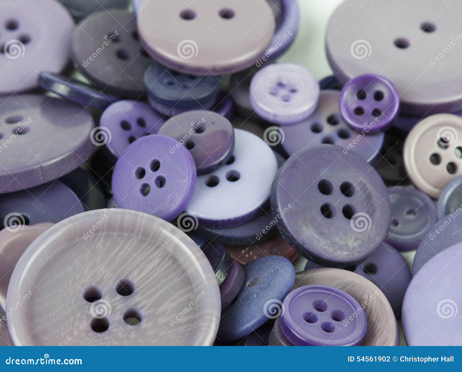 Selection Selection of Various Purple Buttons Stock Photo - Image of ...