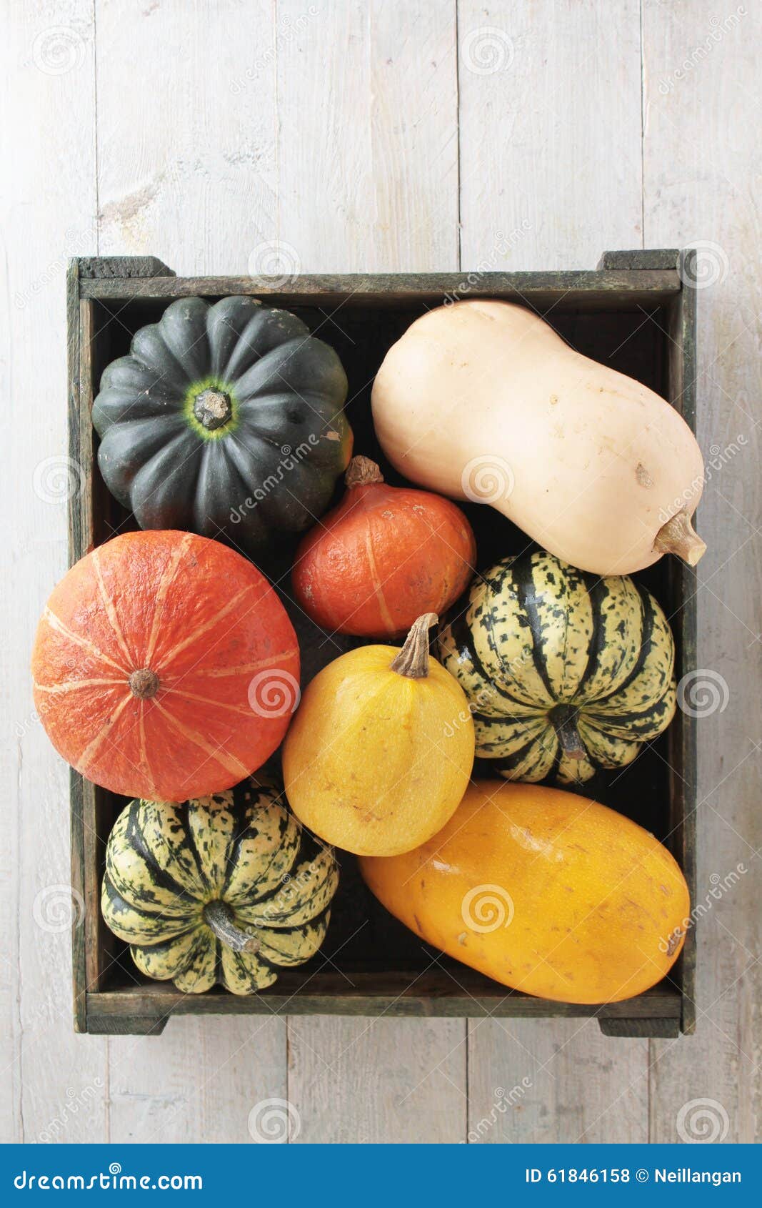 Selection of Squash Vegetables Stock Photo - Image of healthy, squash ...