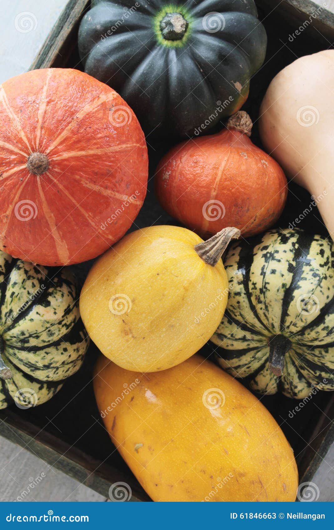 Selection of Squash Vegetables Stock Image - Image of lunch, vegetables ...