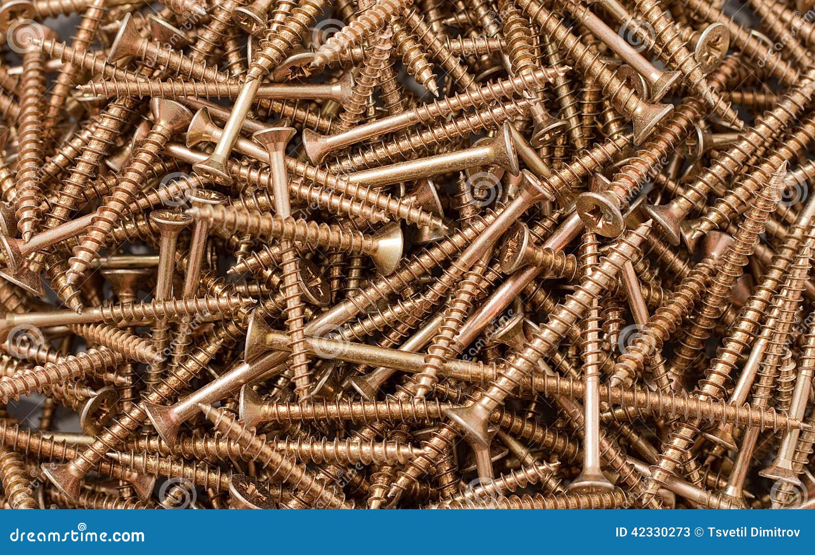 Selection of srews stock image. Image of hardware, wood - 42330273