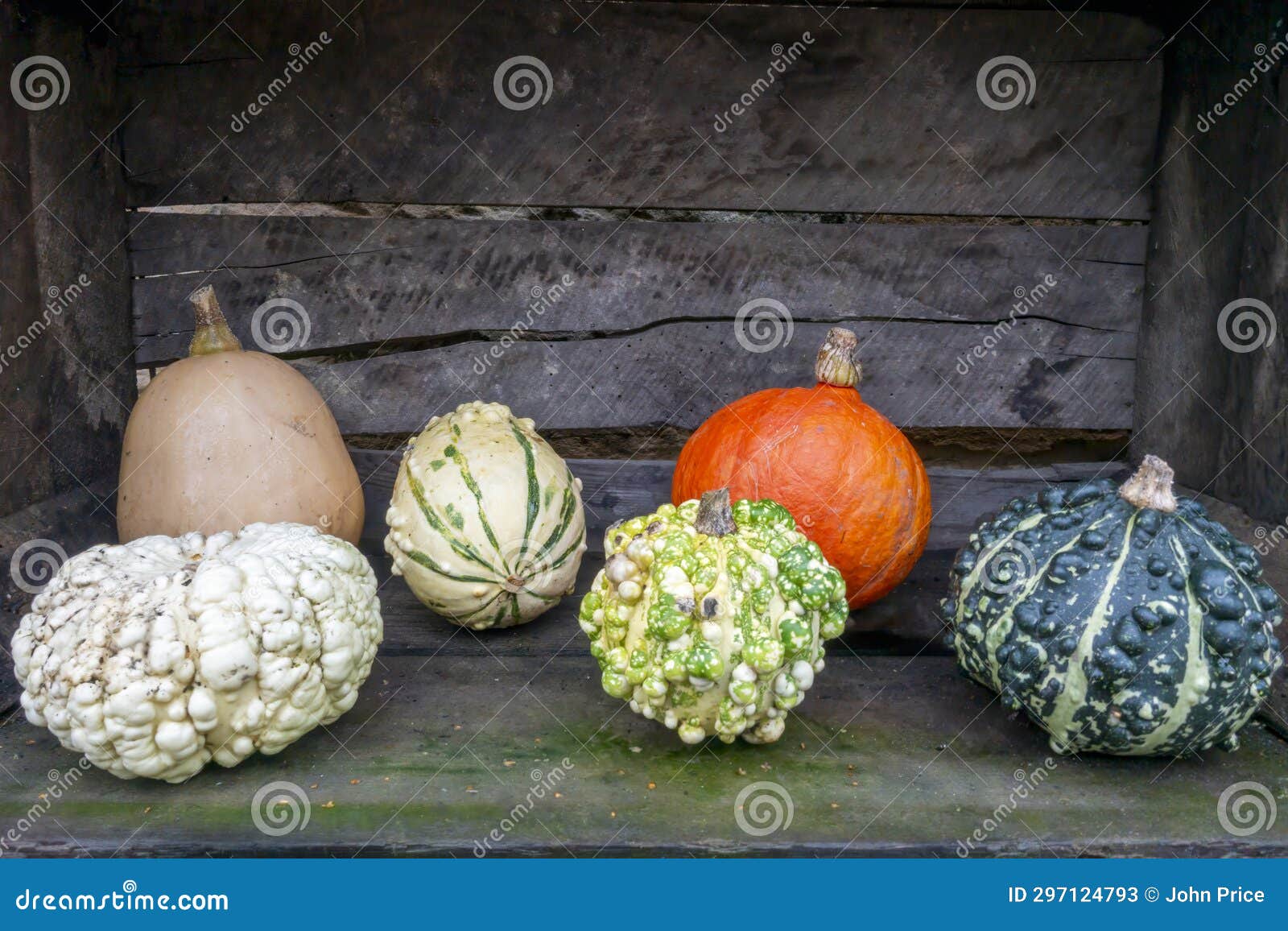 A Selection of Various Gourds Stock Image - Image of pumpkin, autumnal ...