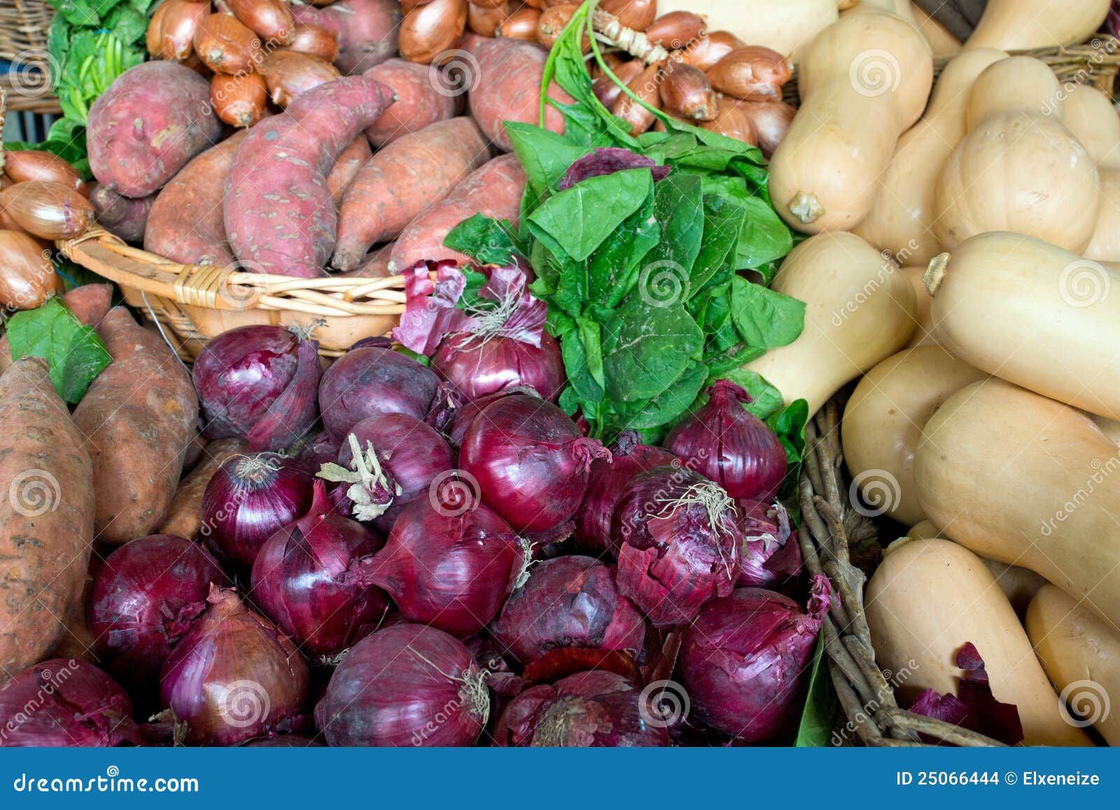 Selection of Vegetables at a Market Stock Photo - Image of nutrition ...