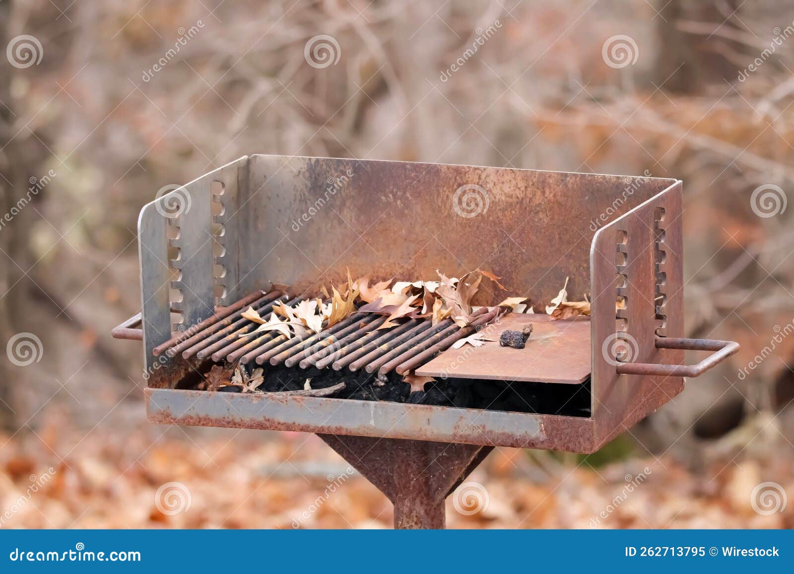 Selective of a Charcoal Grill in a State Park Stock Image - Image of ...