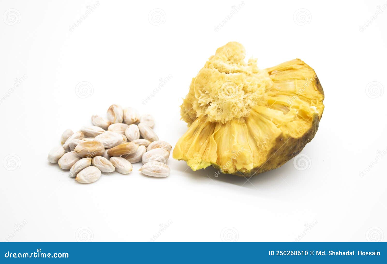 Selective Focus, Artocarpus Lacucha Fruit or Monkey Fruit, or Monkey ...