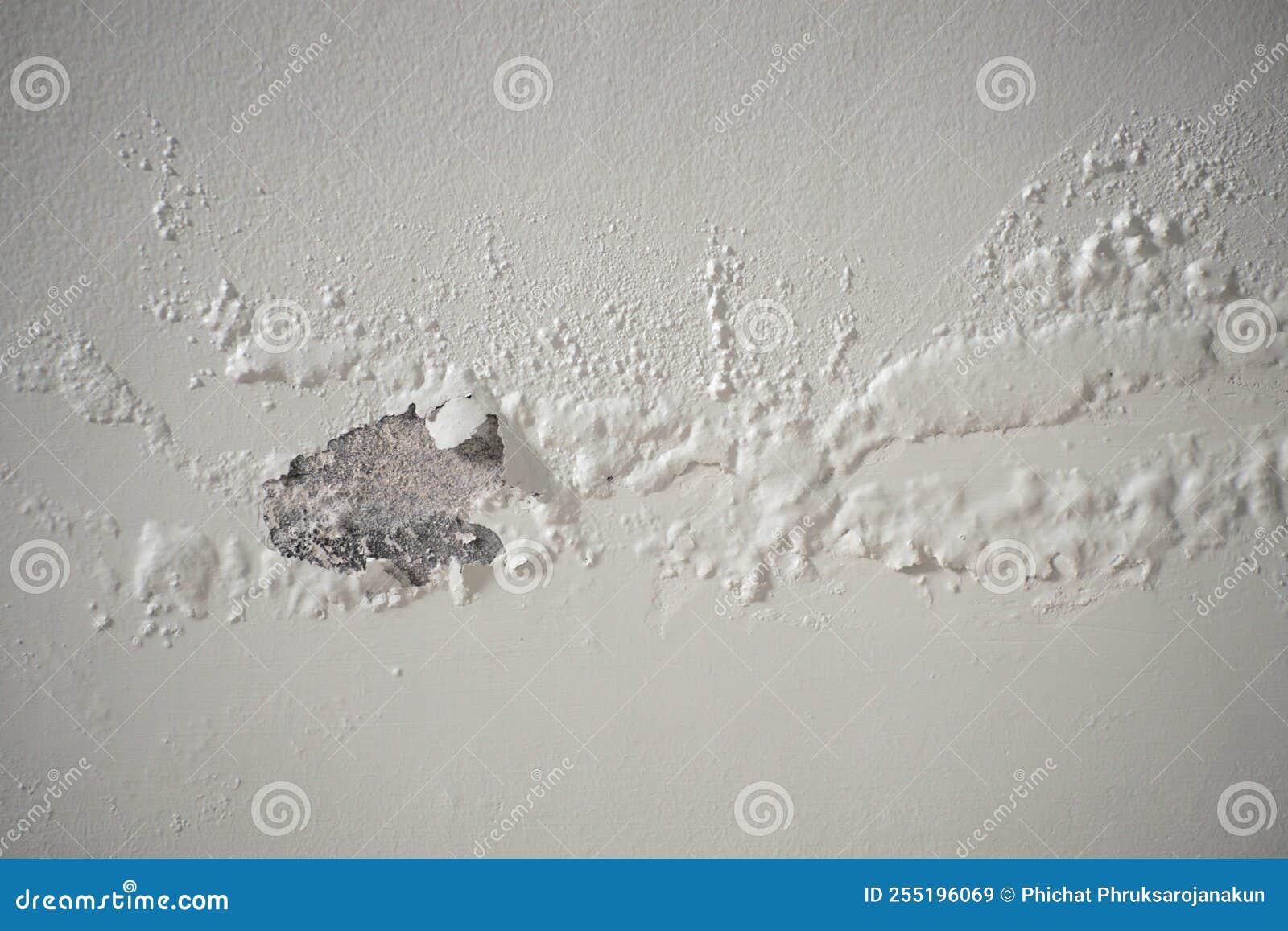 Selective Focus on the Blistered Surface of Cement Wall. Swollen Color ...