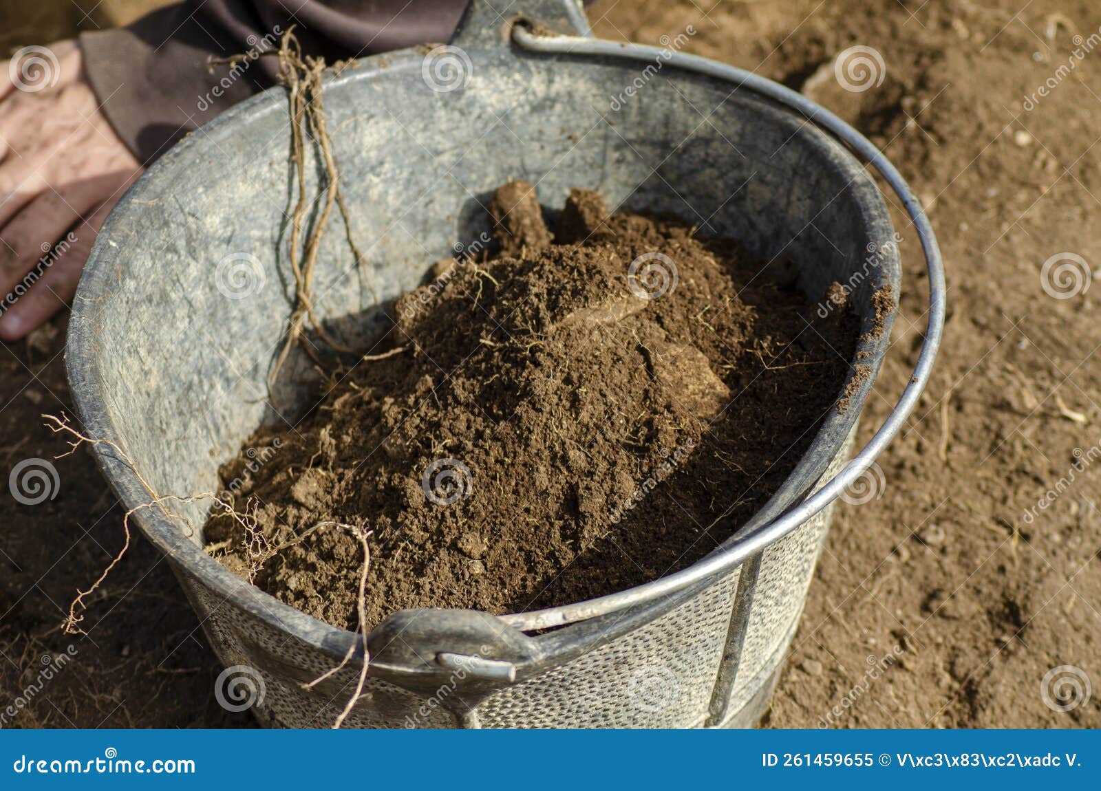 Selective Focus, Bucket Full of Soil in an Archaeological Excavation ...