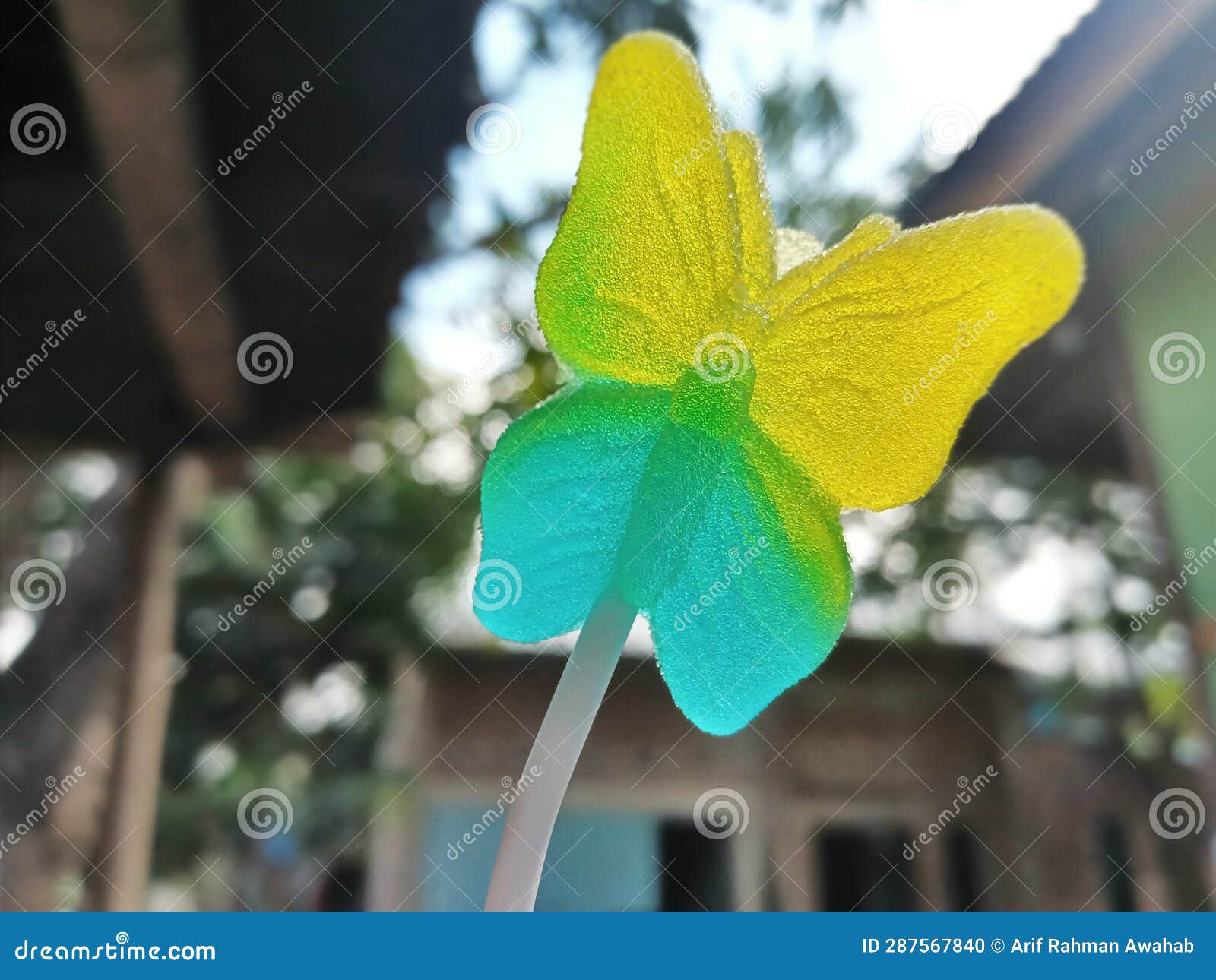 Selective Focus of Chewy Butterfly Lollipops Candy Stock Photo - Image ...