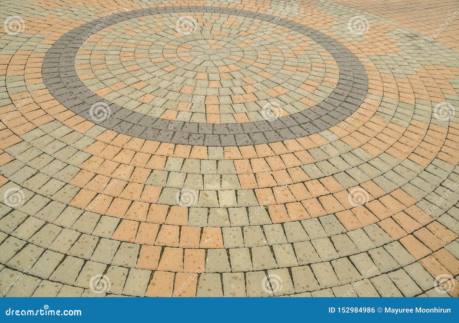 Colorful Brick on the Pavement in Circle Shape Stock Photo - Image of ...