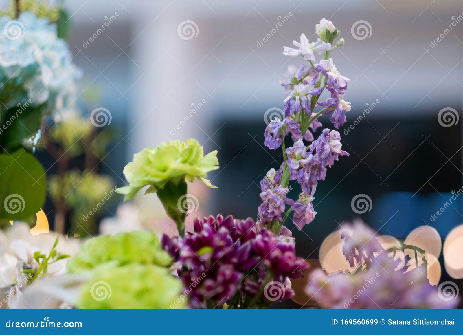 Selective Focus of Colour Full Flower. Stock Image - Image of floral ...