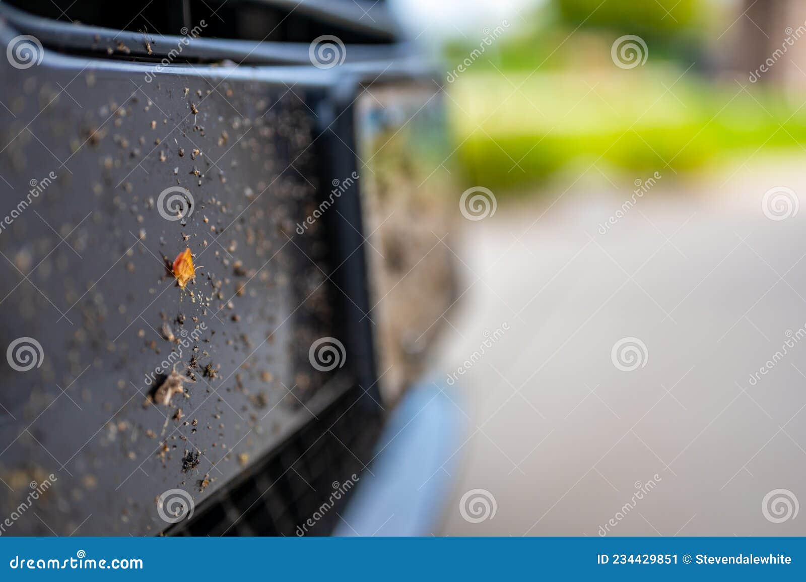 Selective Focus on Dead Bugs Splattered To the Front Grill and Plates ...