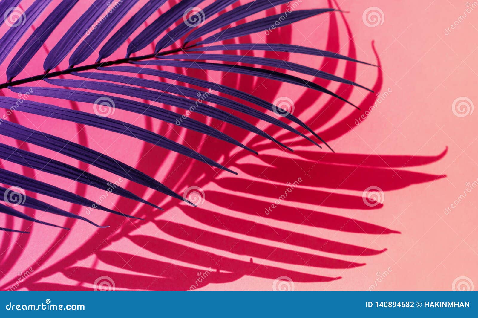 Selective Focus of Exotic Tropical Leaf in Color Gradient.abstract ...