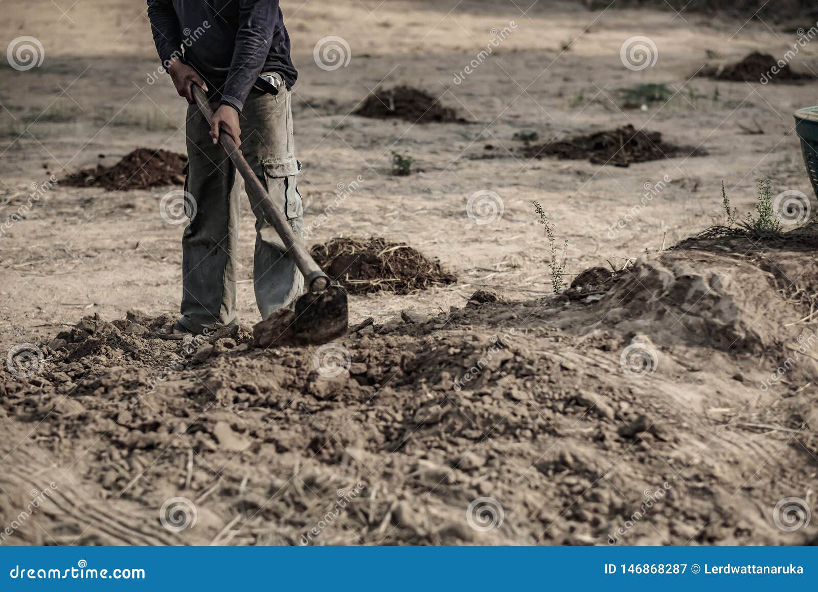 Selective Focus , Farmer Dig Soil To Working Stock Image - Image of ...