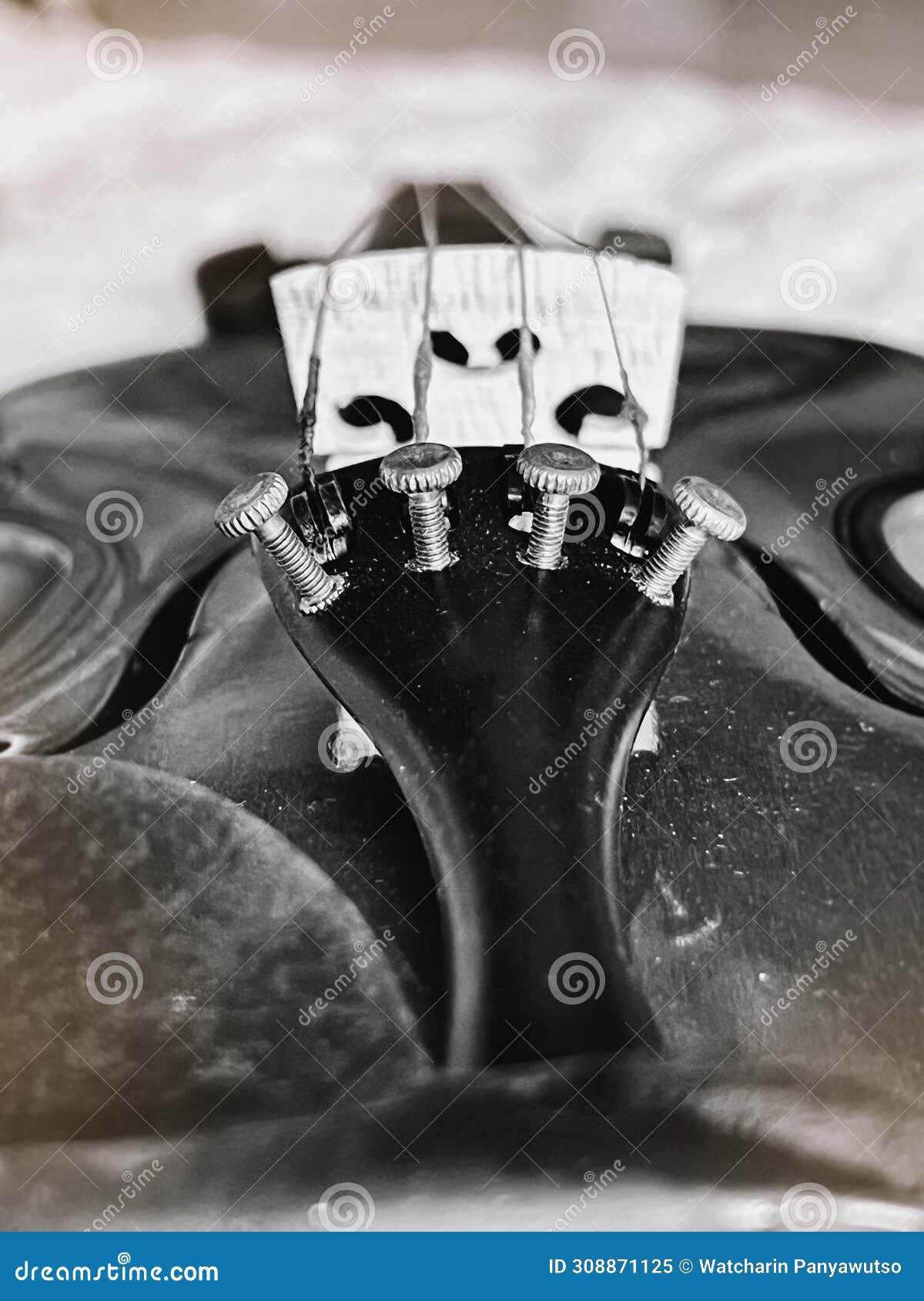 In Selective Focus of Fine Tuner on Tailpiece,in Front of Blurred ...