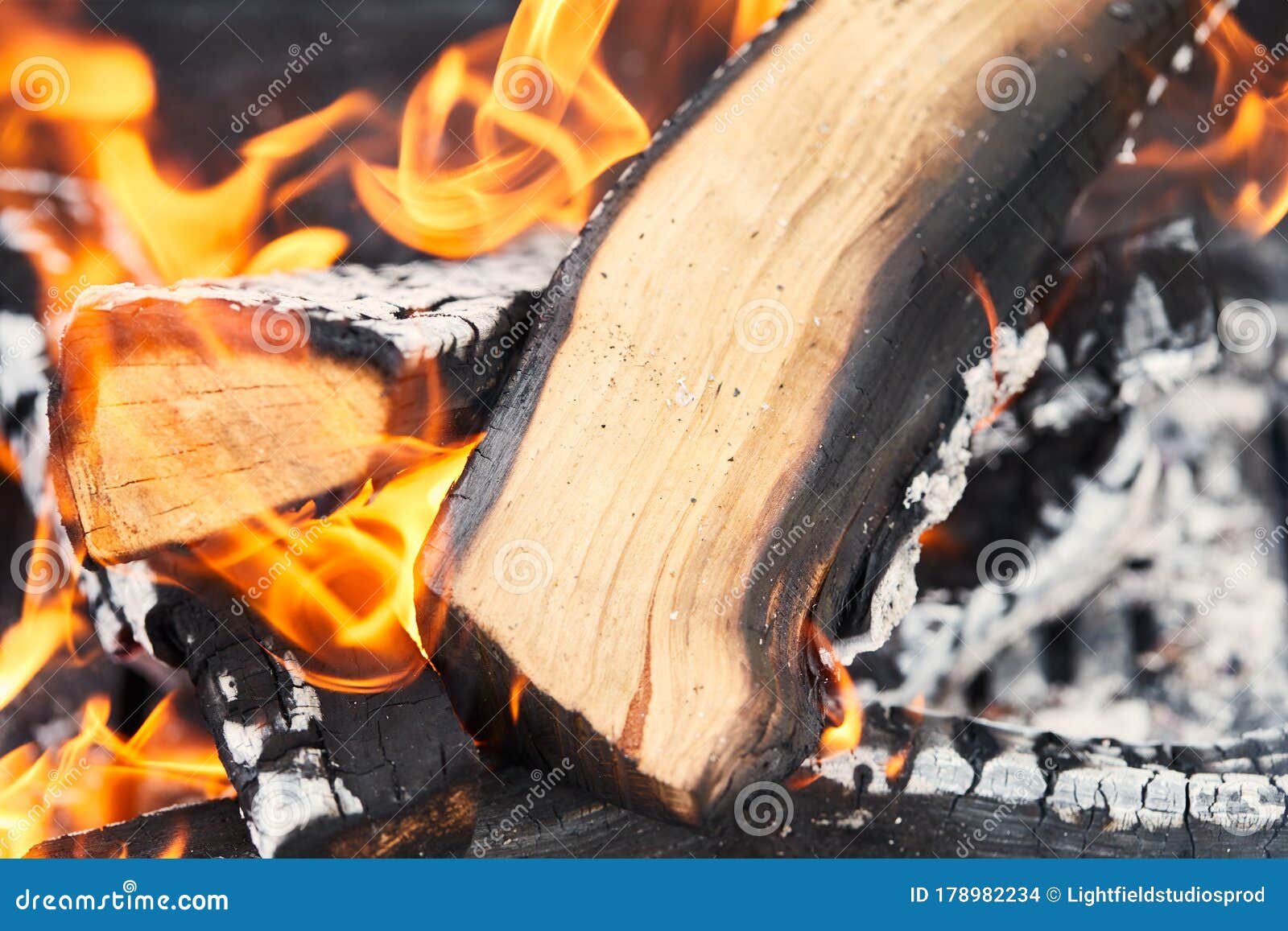 Focus of Firewood with Fire Flames Stock Photo - Image of barbecue ...