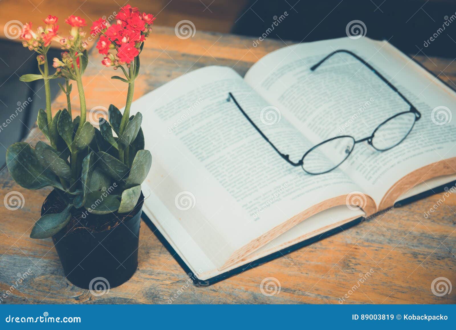 Selective Focus Flower with Old Book Open on Table with Reading Stock ...