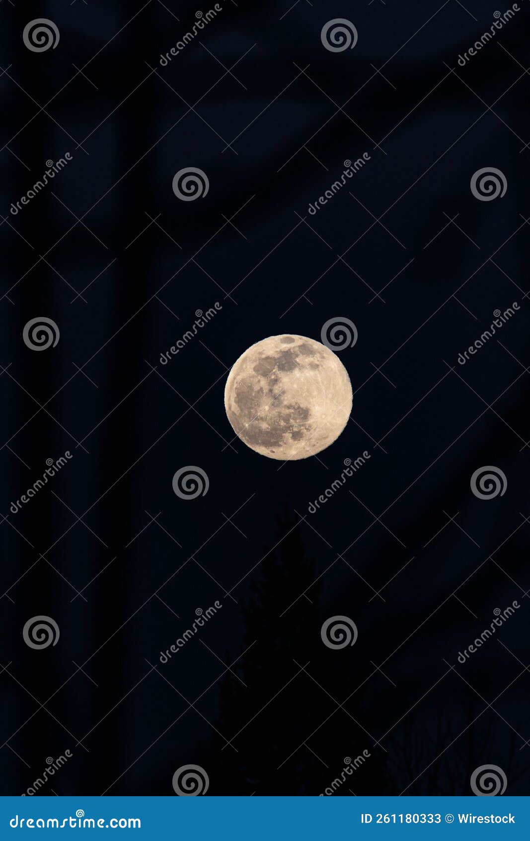 Selective Focus of Full Moon Over the Blue Sky at Night Stock Image ...