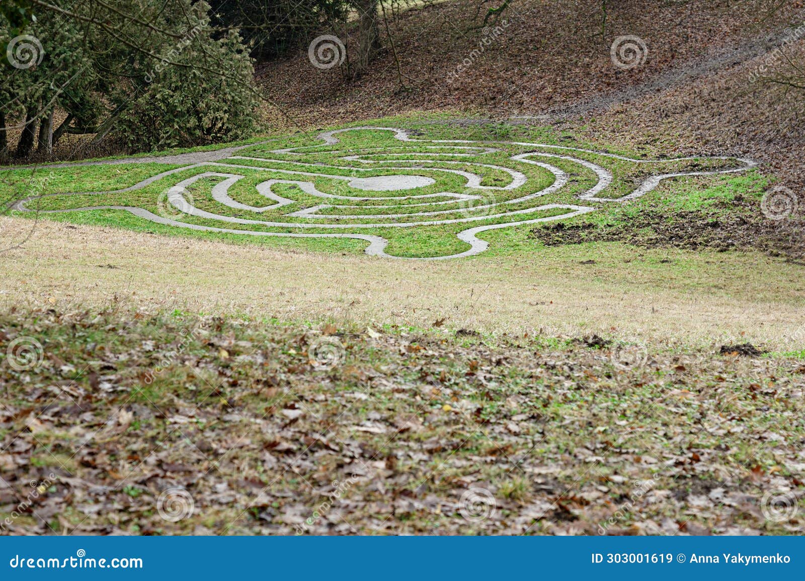 Selective Focus on General View of the Labyrinth Shaped Like Grass on ...