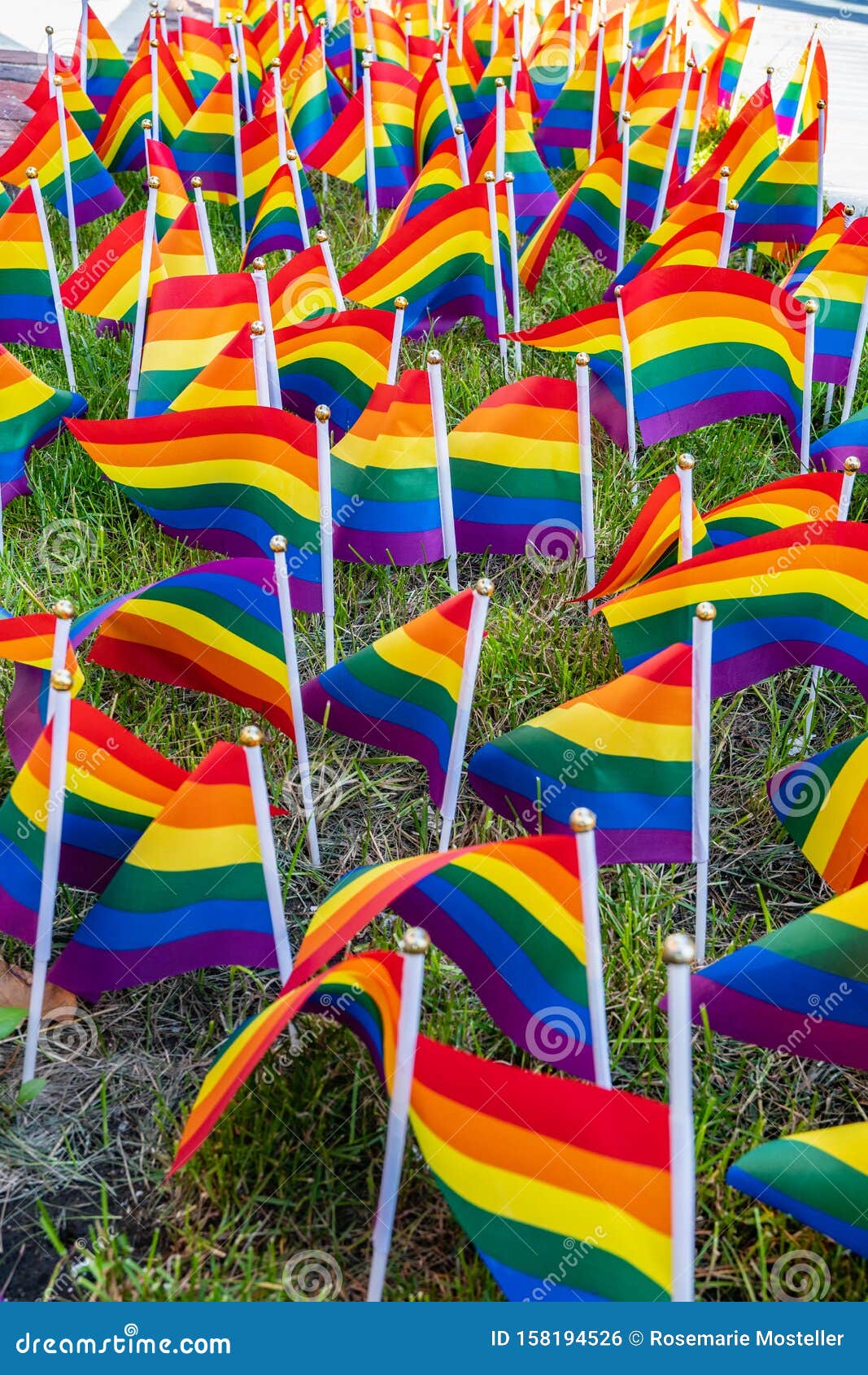 Many Rainbow Pride Flags in the Grass Stock Photo - Image of homosexual ...