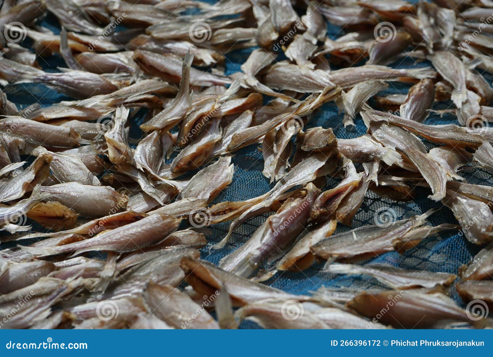 Selective Focus on the Group of Salty Fish Dried by the Heat of Sun ...