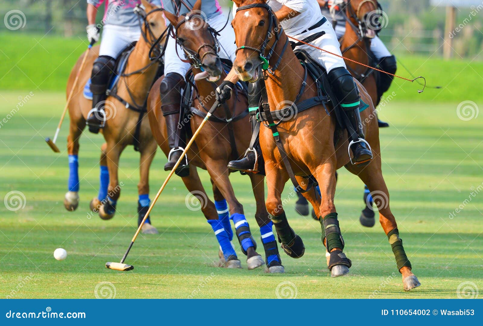 Selective Focus the Horse Polo Players Stock Photo - Image of action ...