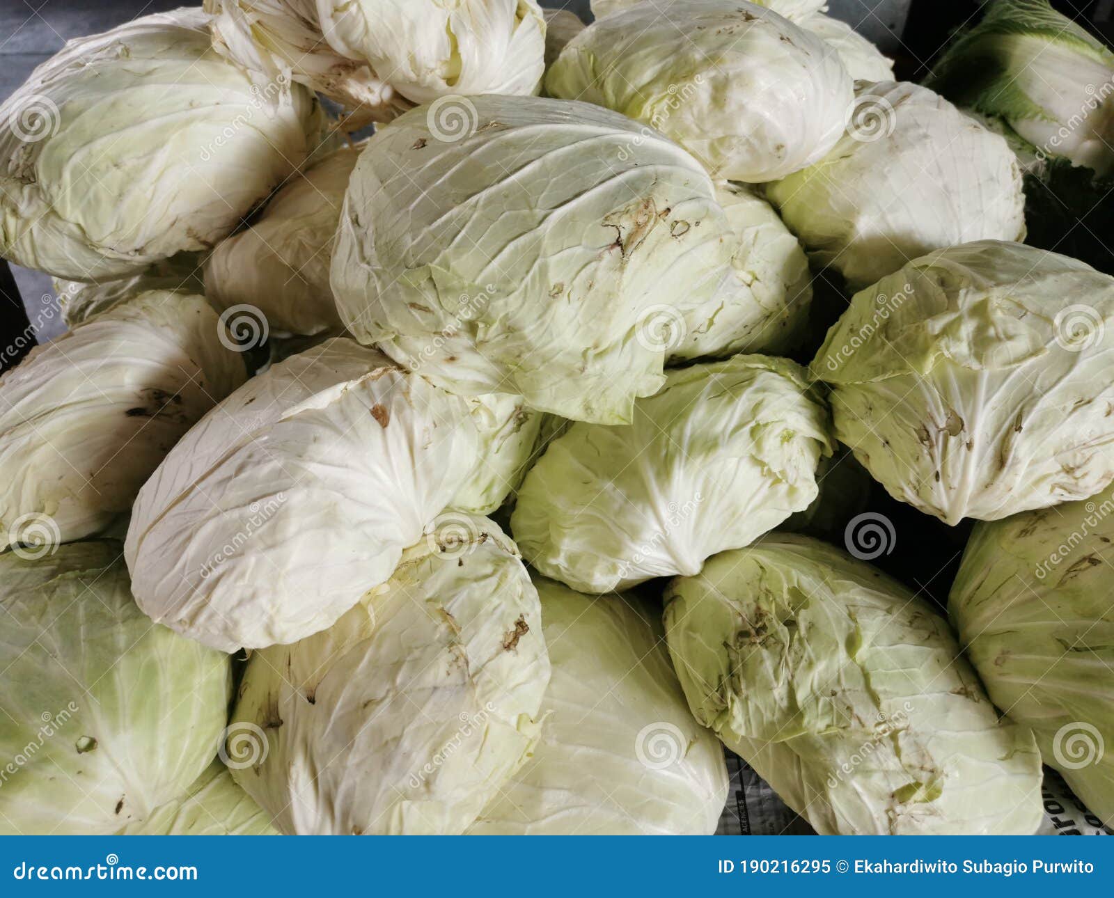 Sabah Vegetable Farmer Stock Photos - Free & Royalty-Free Stock Photos ...