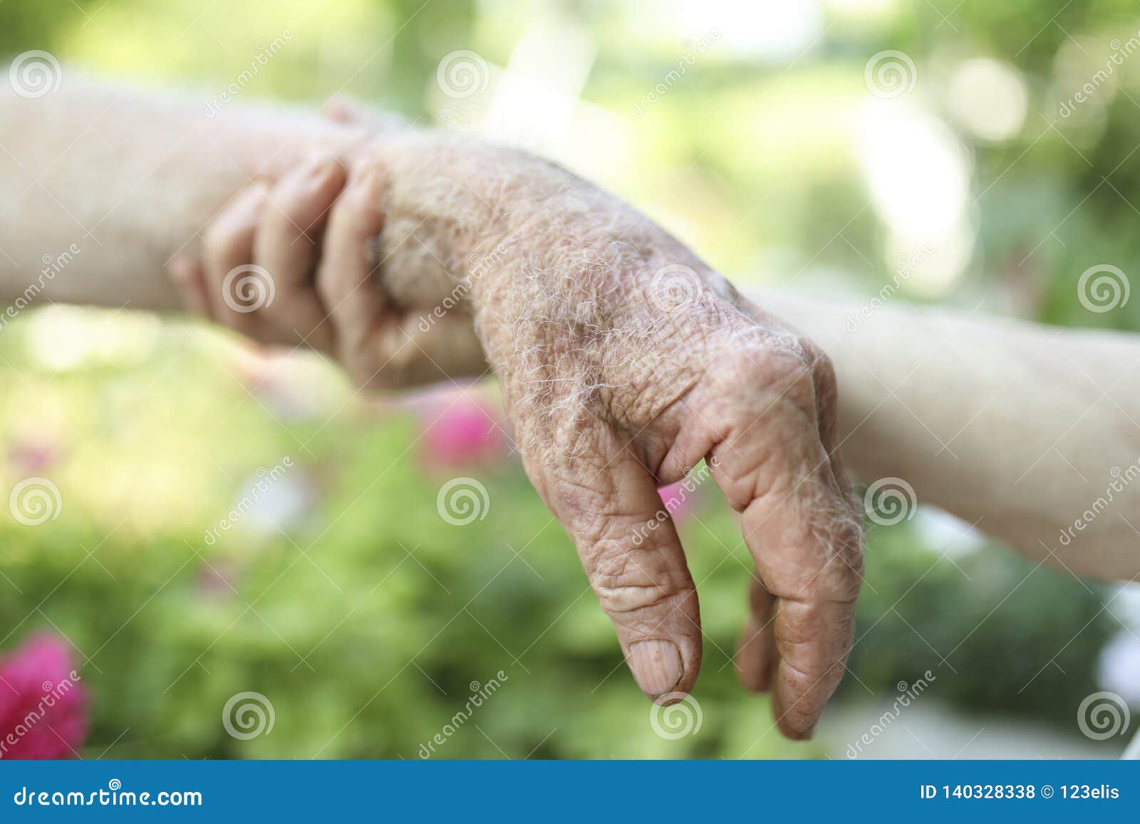 Senior hands holding stock photo. Image of hand, family - 140328338