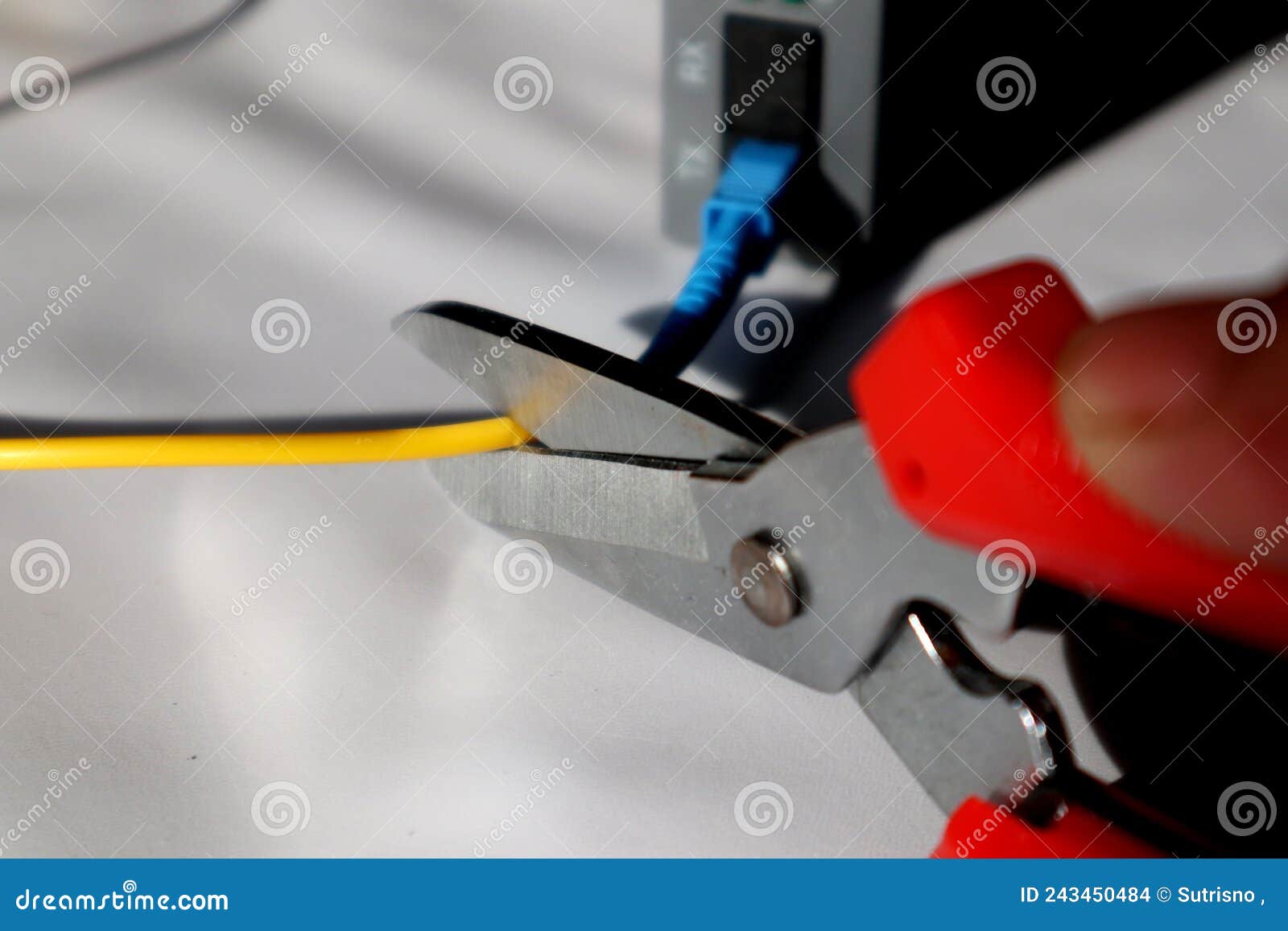 Cut Fiber Optic Network Cables. Cut the Internet Network Cable Stock ...