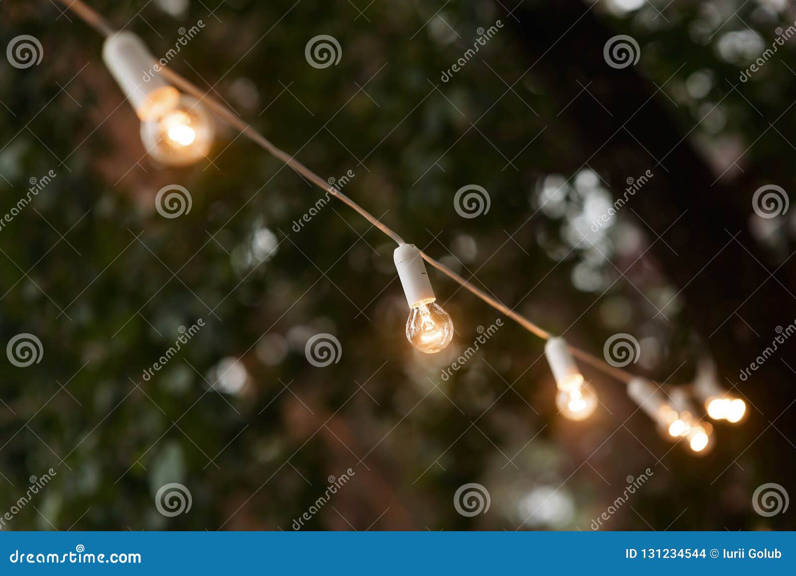 Selective Focus on Light Bulb Stock Photo - Image of fresh, happy ...