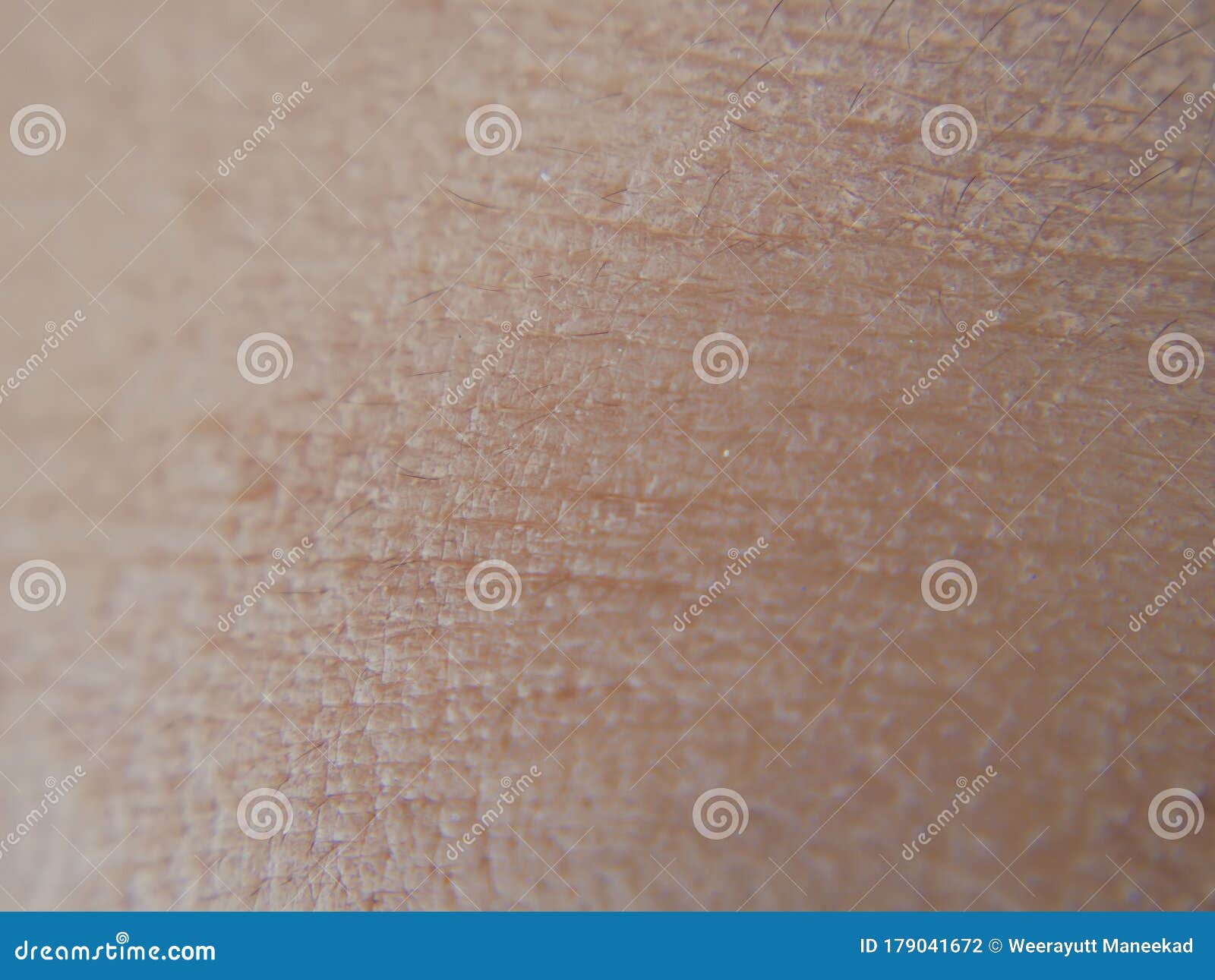 Selective Focus With Macro Of Human Skin. Human Skin Texture. Pattern ...