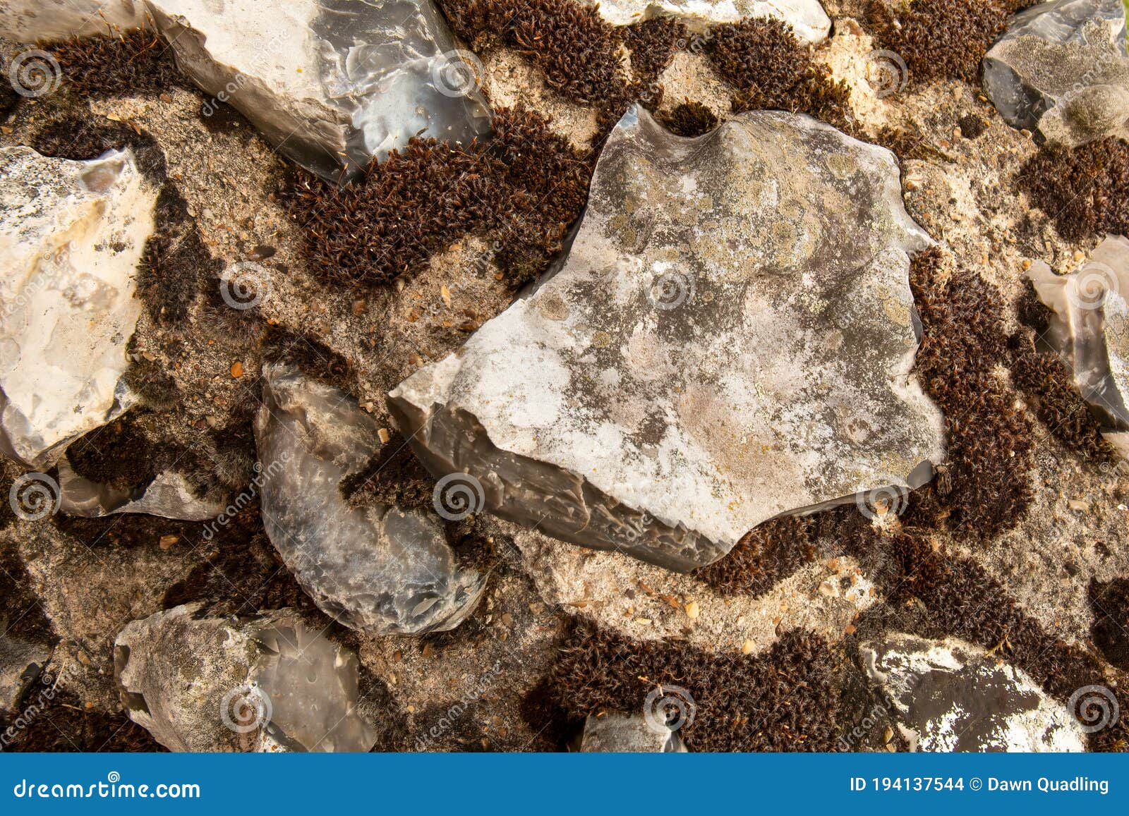 Selective Focus Medieval Flint Stone Wall Ruins Stock Photo - Image of ...