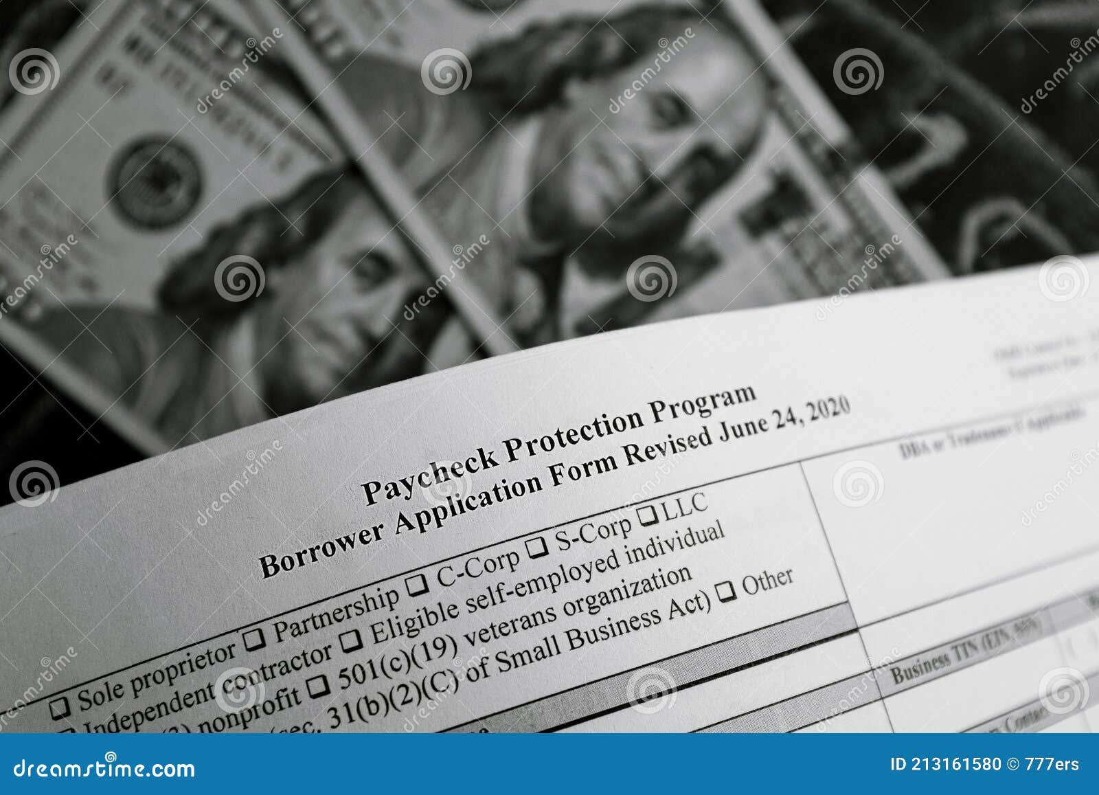 Selective Focus Monochrome Photo of Paycheck Protection Program ...