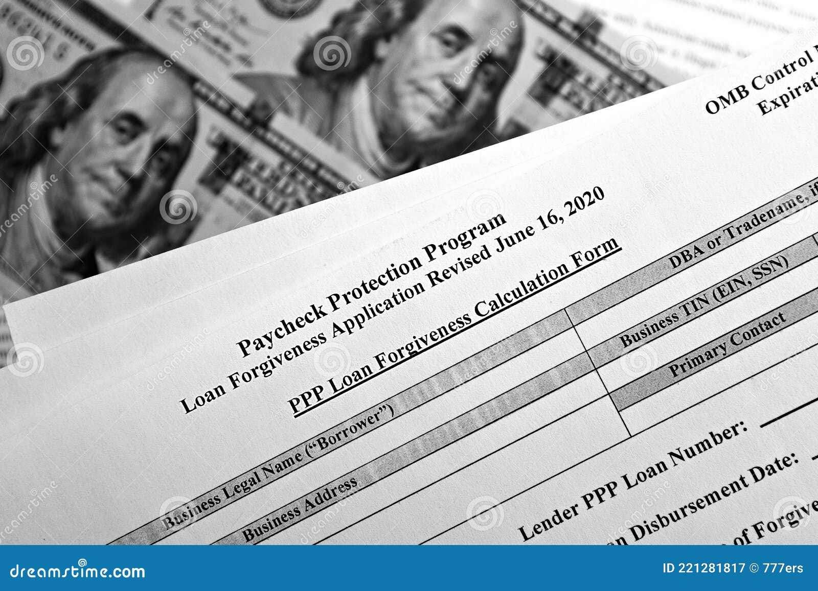 Selective Focus Monochrome Photo of Paycheck Protection Program Loan ...