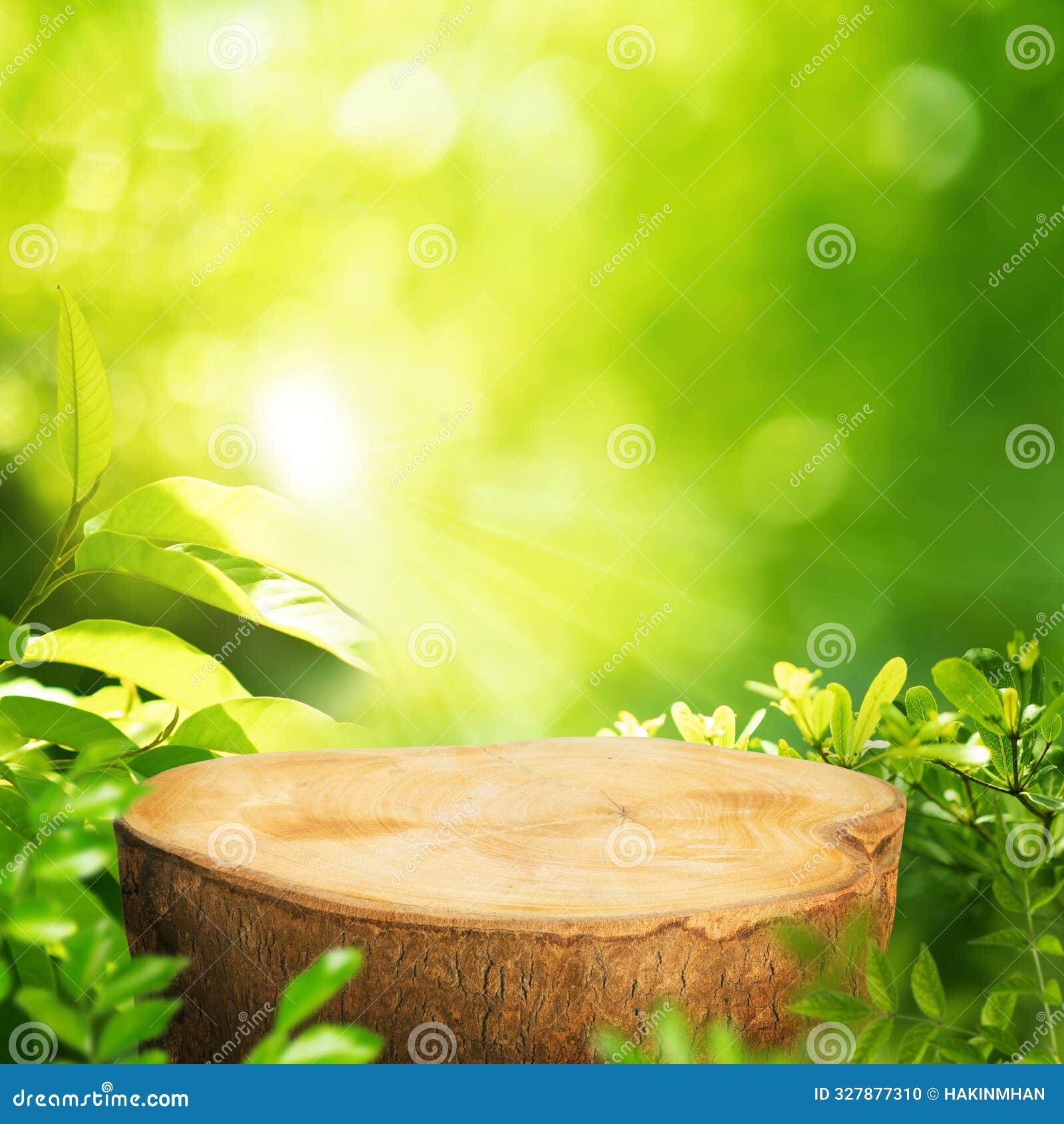 Selective Focus of Old Tree Stump Table Top on Blur Green of Tree ...