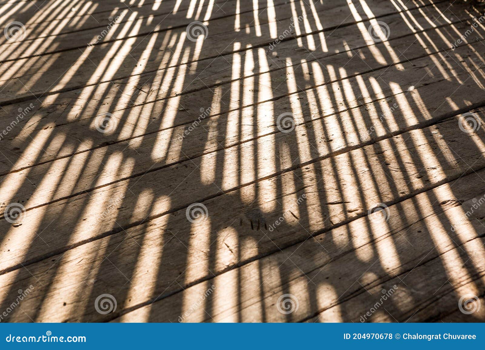 Selective Focus of Pattern Beautiful Light and Shadow on the Wooden ...