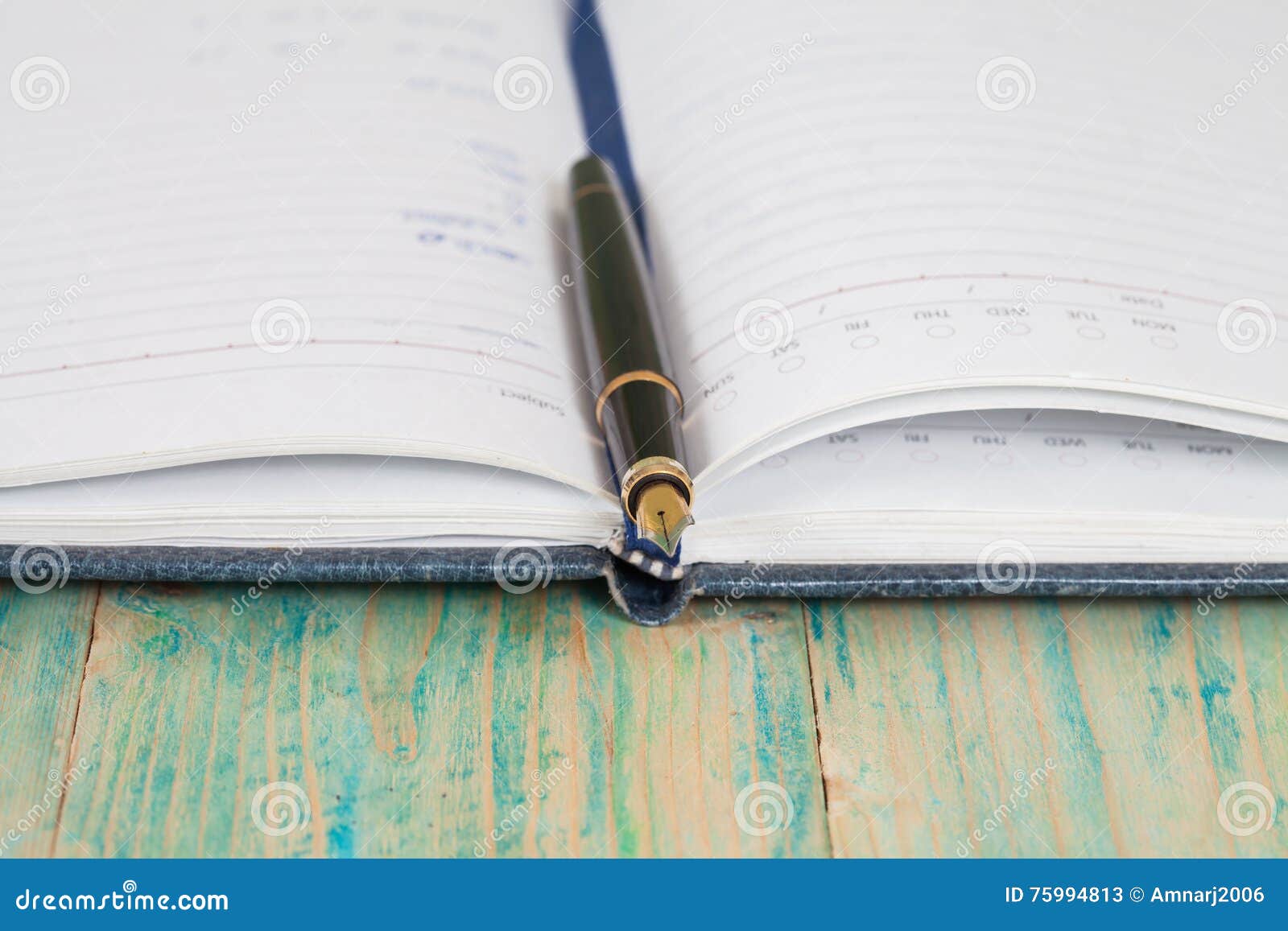 Selective Focus of the Pen on Opened Lined Diary Book Stock Image ...