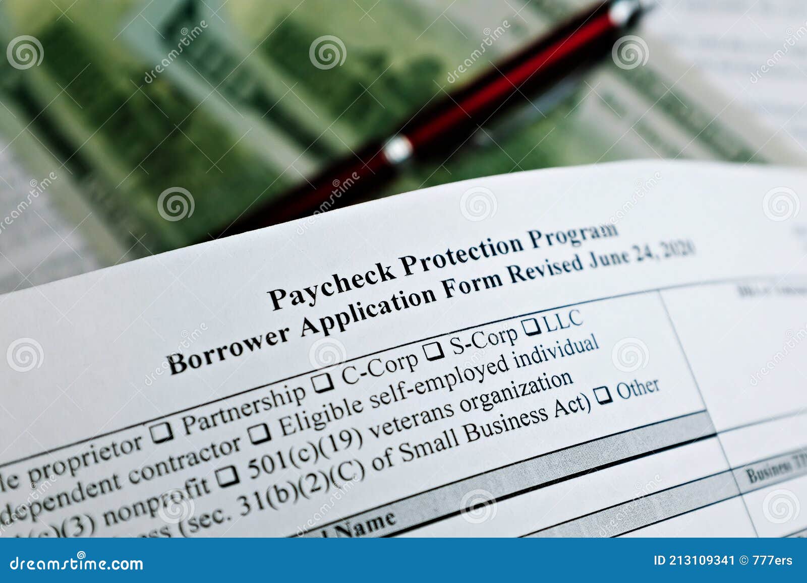 Selective Focus Photo of Paycheck Protection Program Borrower Application Form Revised, on a ...