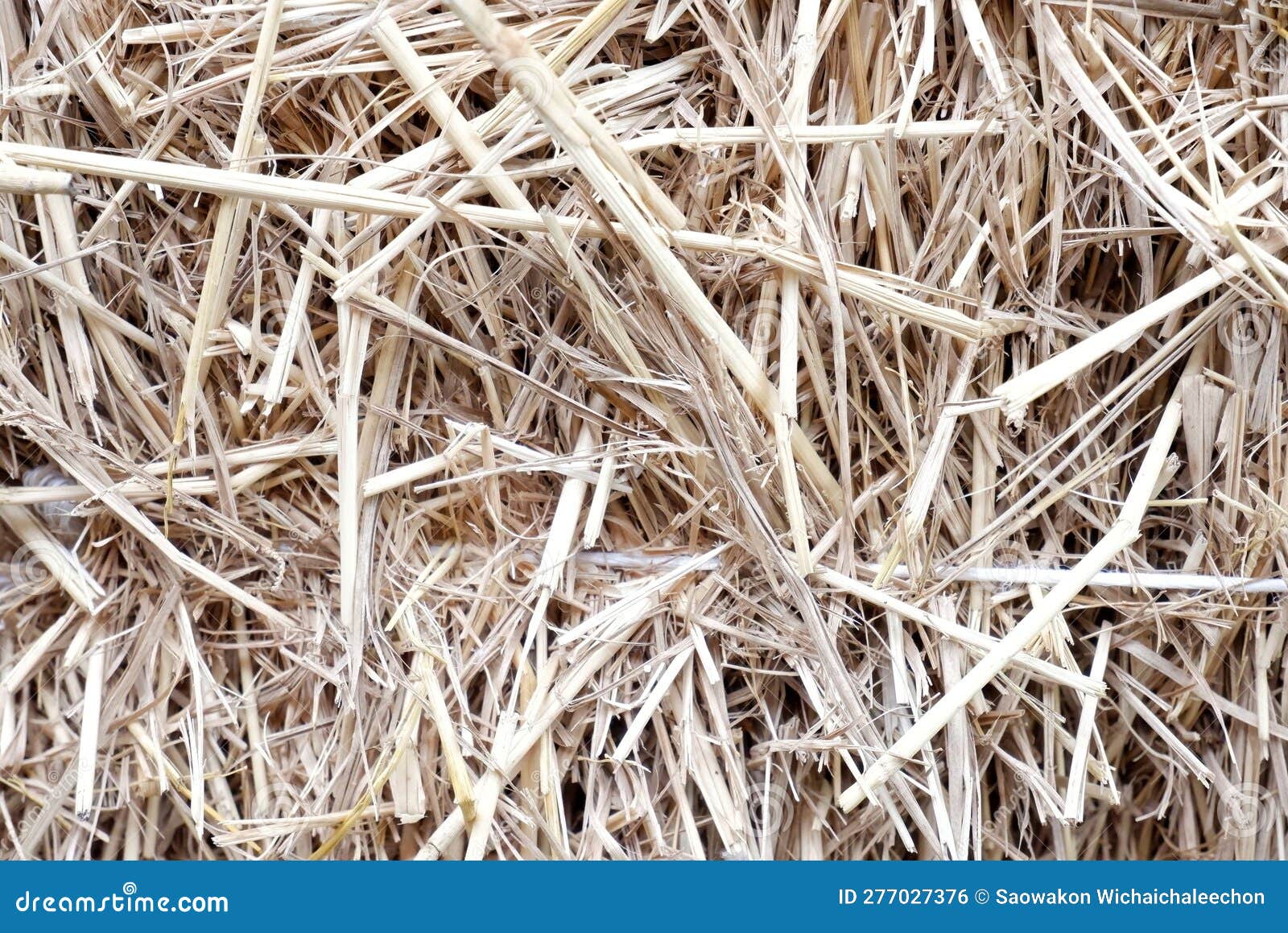 In Selective Focus a Pile of Dried Hay for Background Backdrop Stock ...