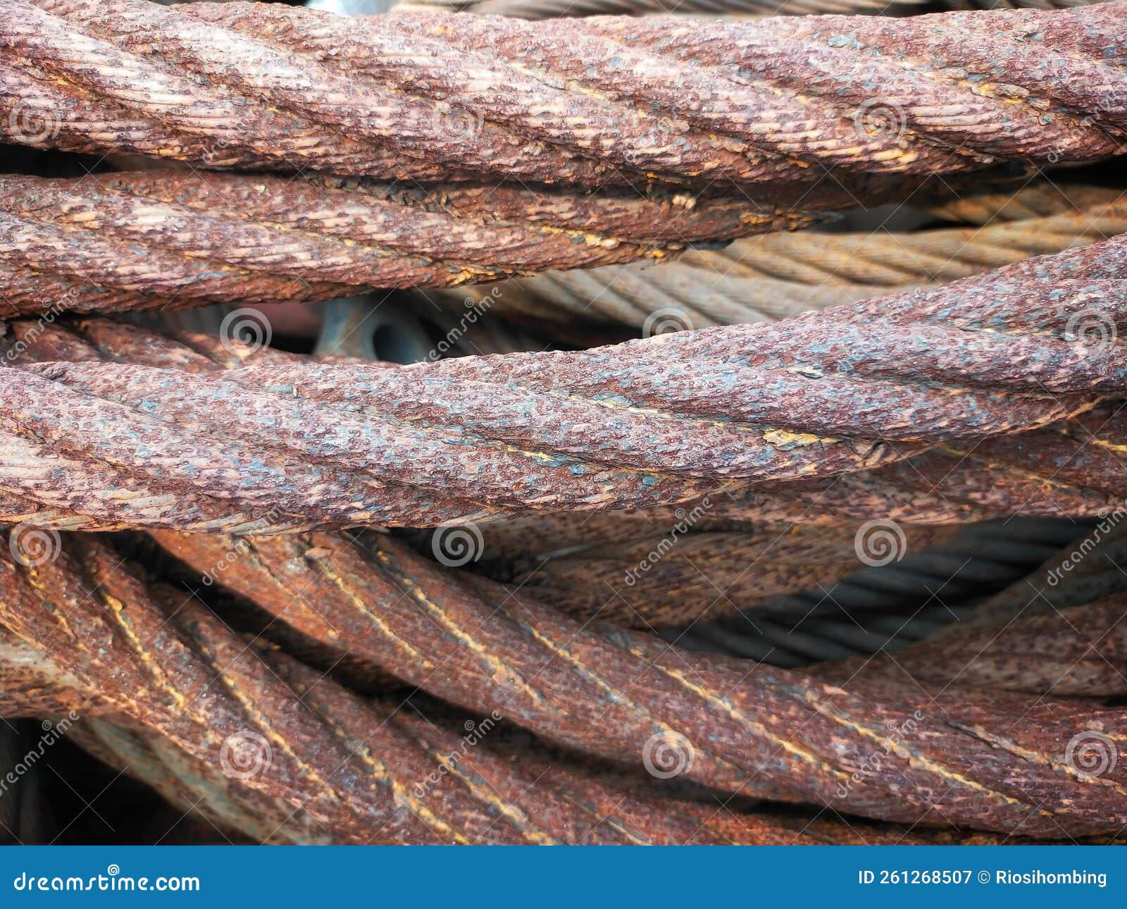 Selective Focus of a Pile of Rusty Wire Slings Stock Image - Image of ...