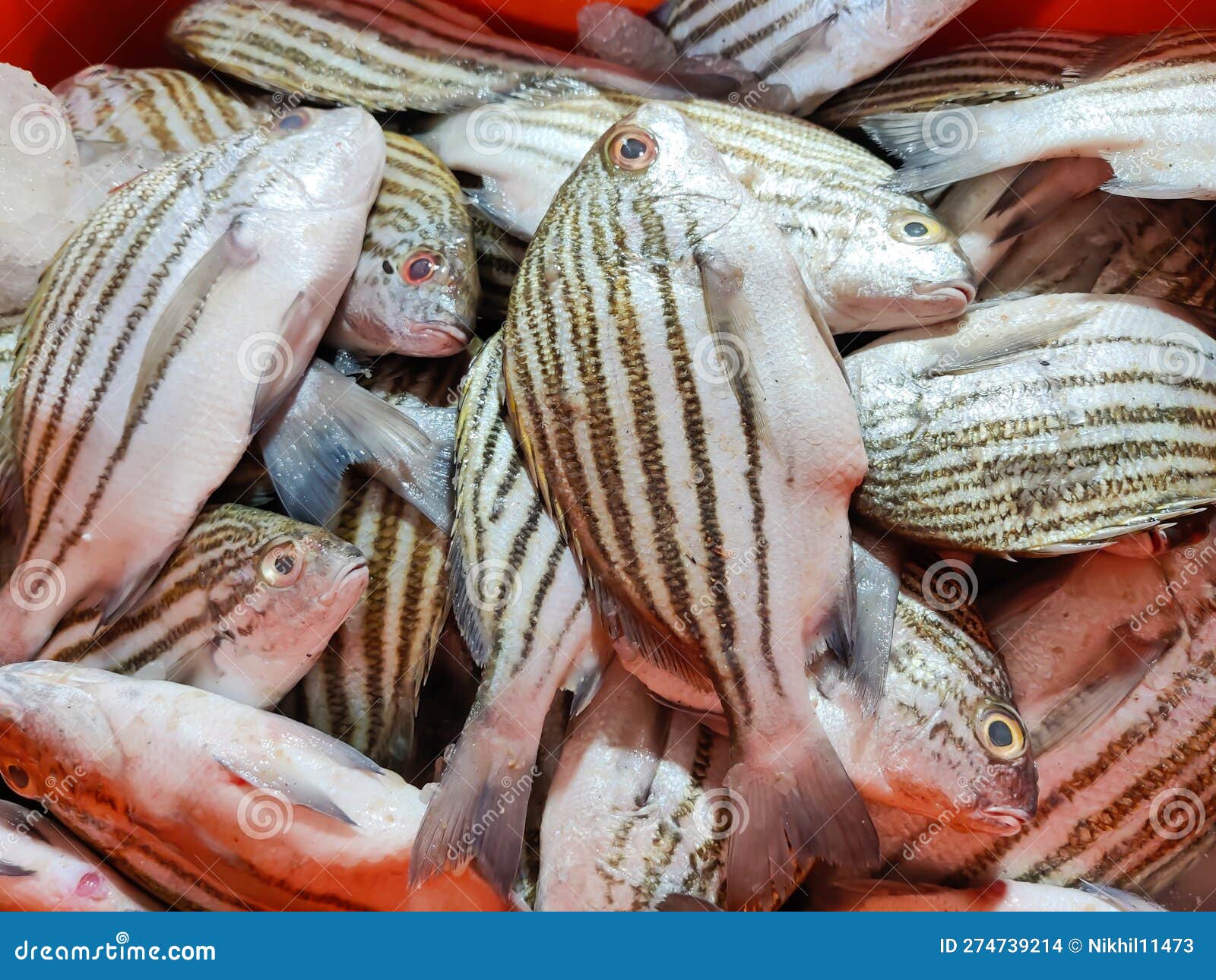 Selective Focus of Pin Fish in a Fish Market Stock Photo - Image of ...
