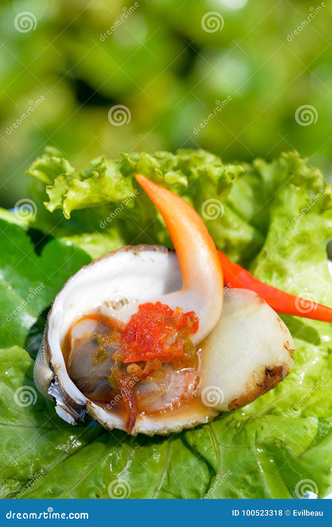 Cooked Cockles stock photo. Image of spicy, boiled, shellfish - 100523318