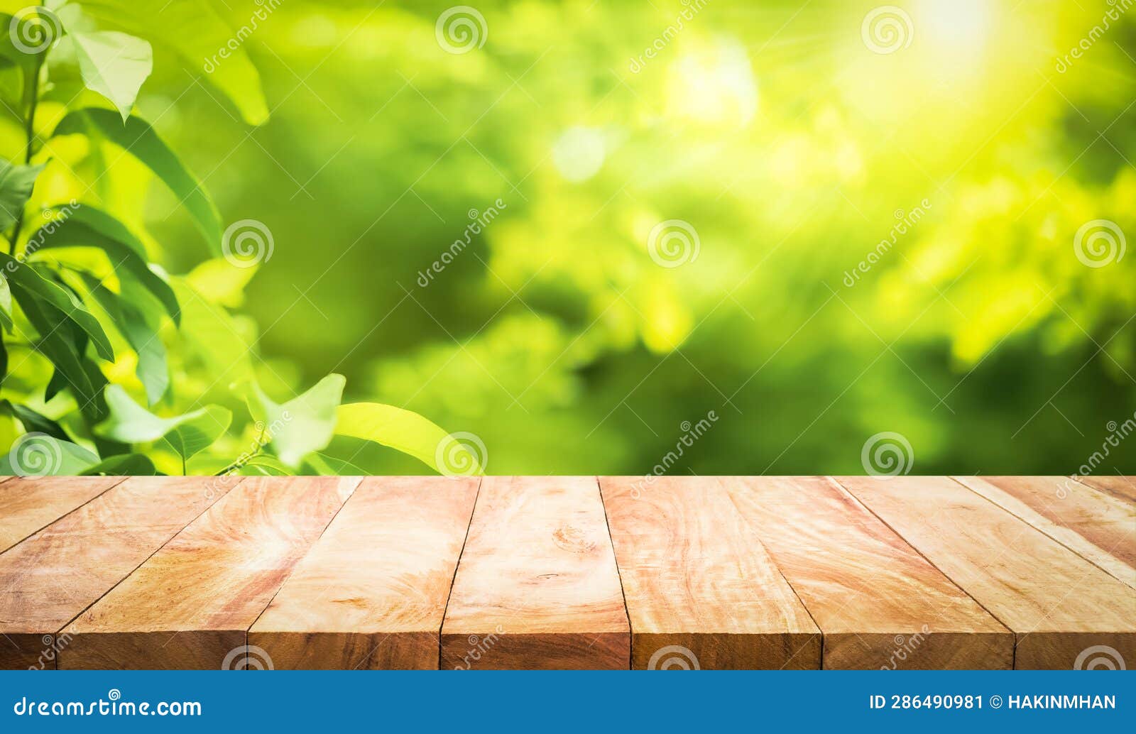Selective Focus.real Wood Table Top Texture on Blur Leaf Tree Garden ...