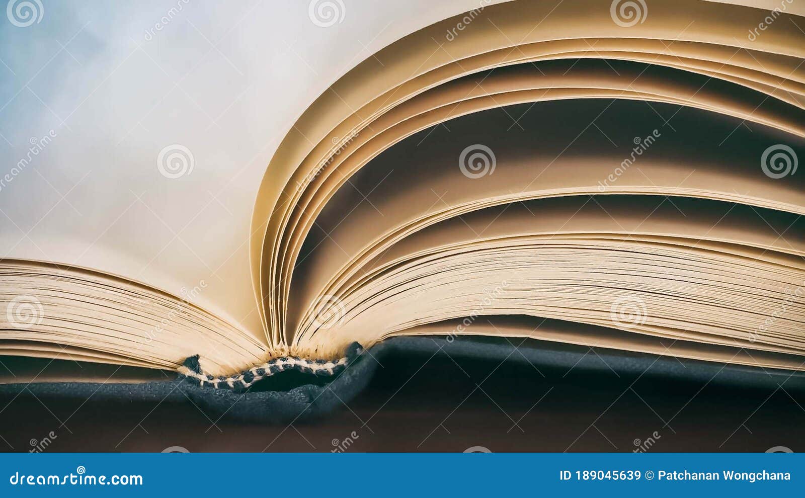 Selective Focus the Ridge of an Open Book Stock Illustration ...