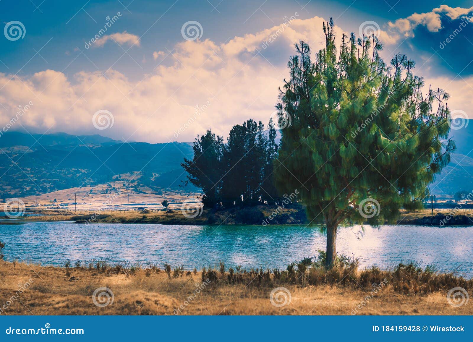 Selective Focus of a River with Both Sides Covered with Trees ...