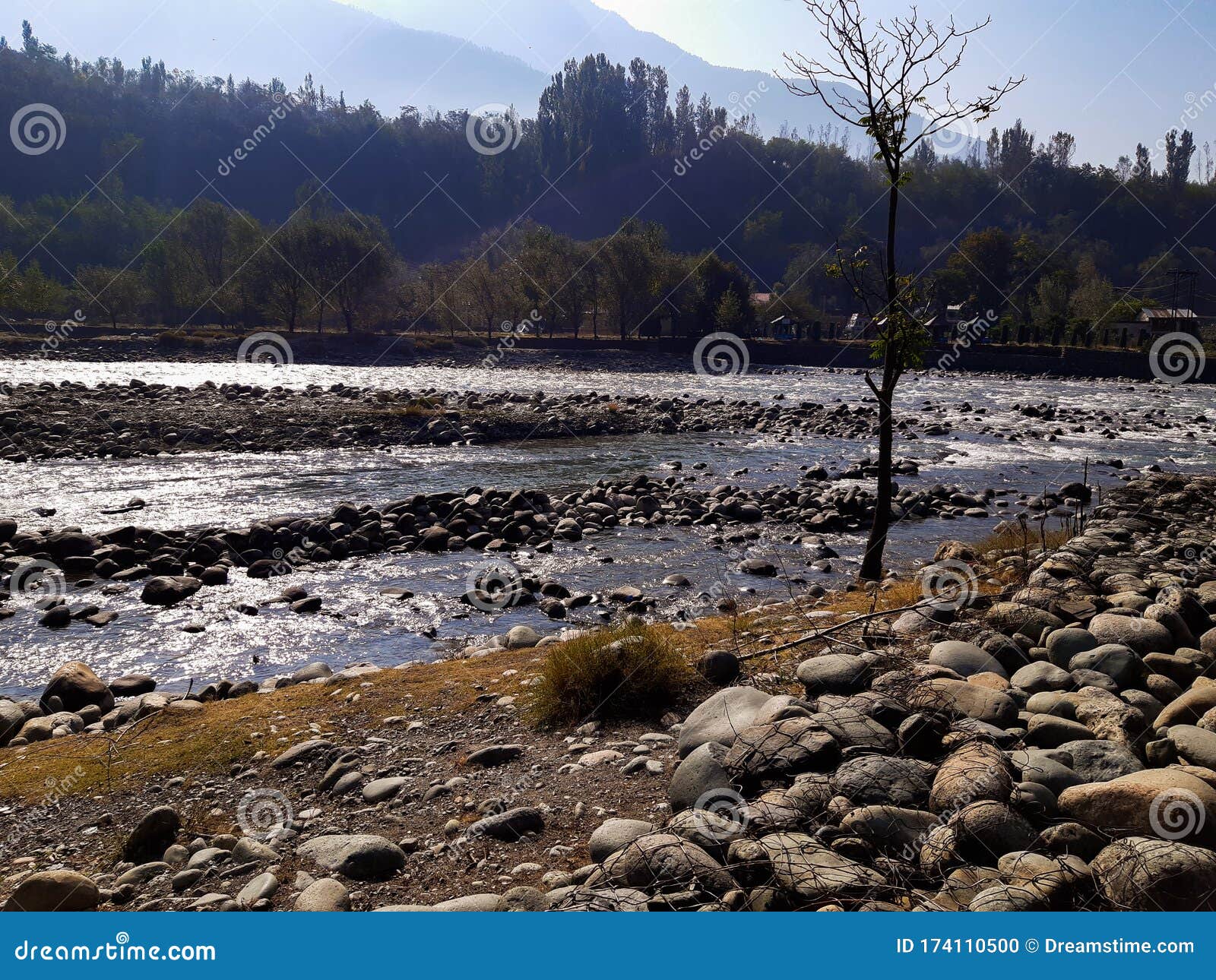 Selective Focus on River Shore Stock Photo - Image of focus, simplicity ...